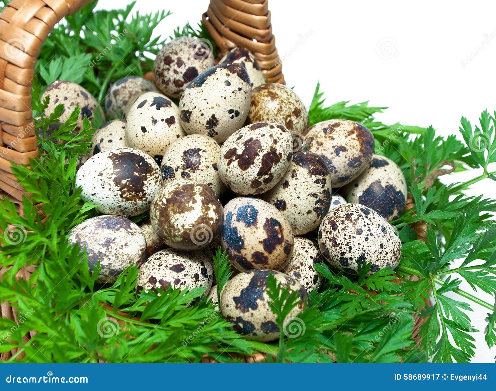Quail Eggs in a Basket Close-up Stock Image - Image of beginnings ...