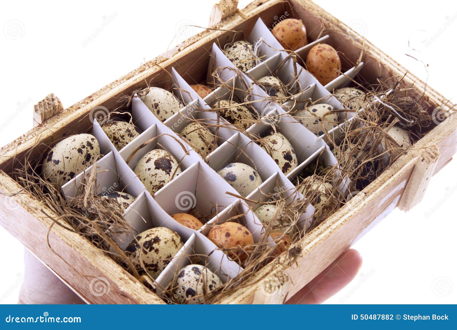 Quail eggs in box stock photo. Image of healthy, food - 50487882