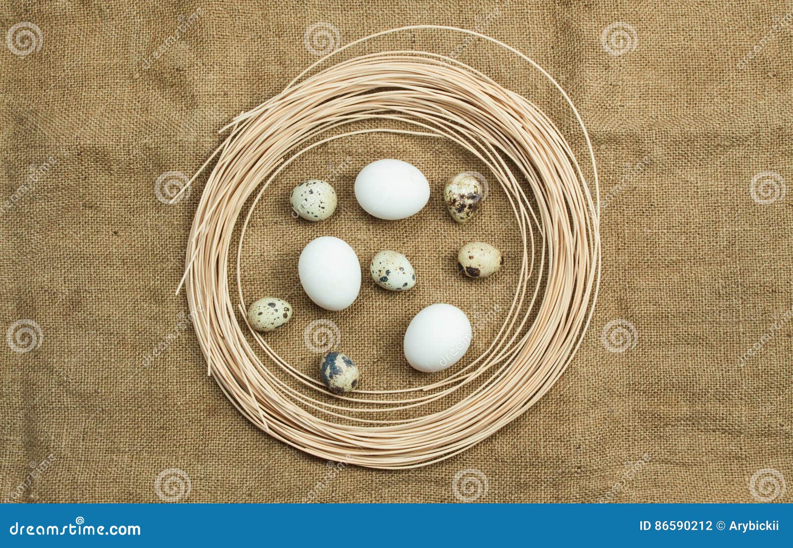 Quail eggs close up stock photo. Image of bird, easter - 86590212