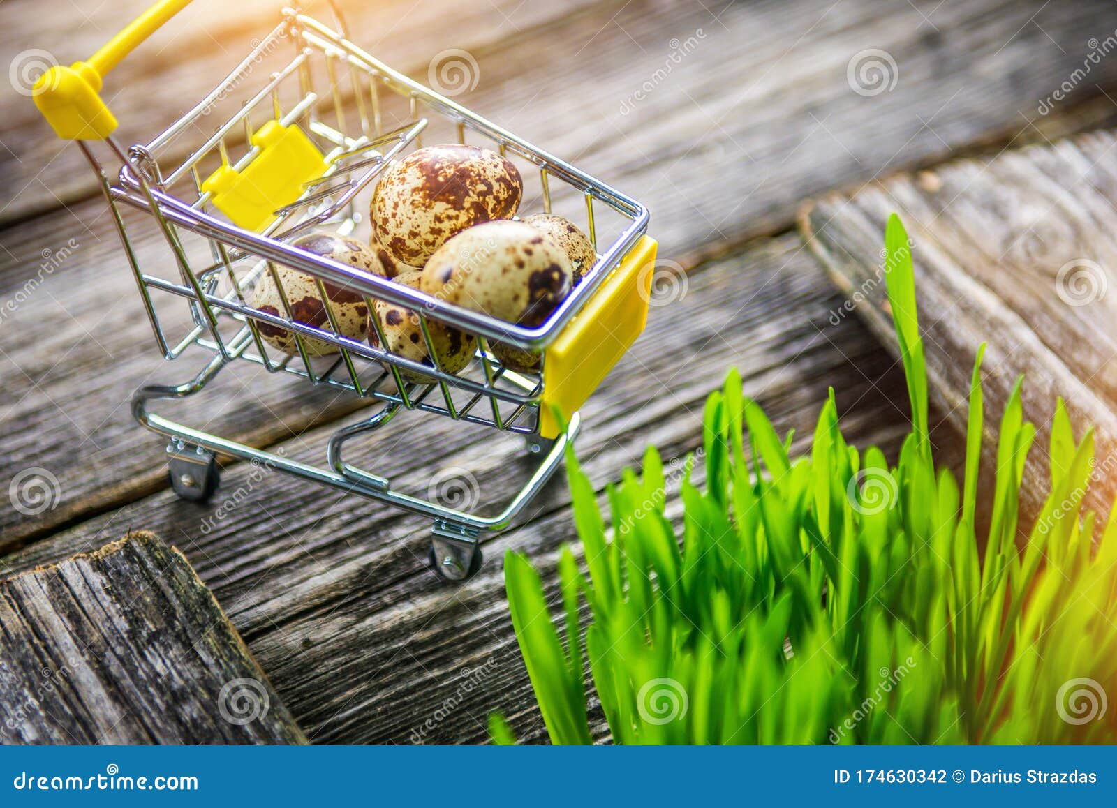 Quail Eggs for Easter in a Shopping Trolley Stock Photo - Image of ...