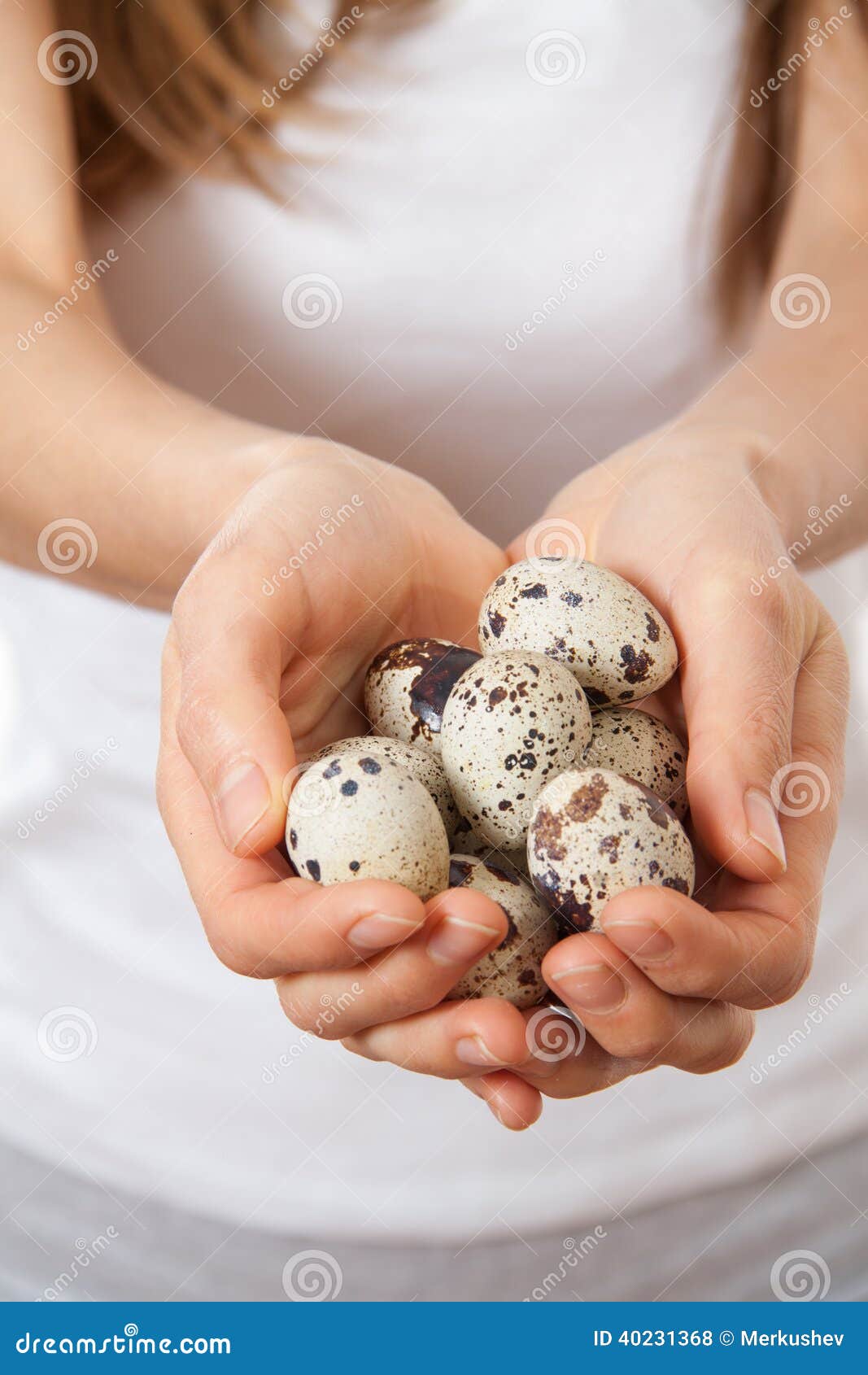 Quail eggs in hands stock photo. Image of closeup, delicatessen - 40231368