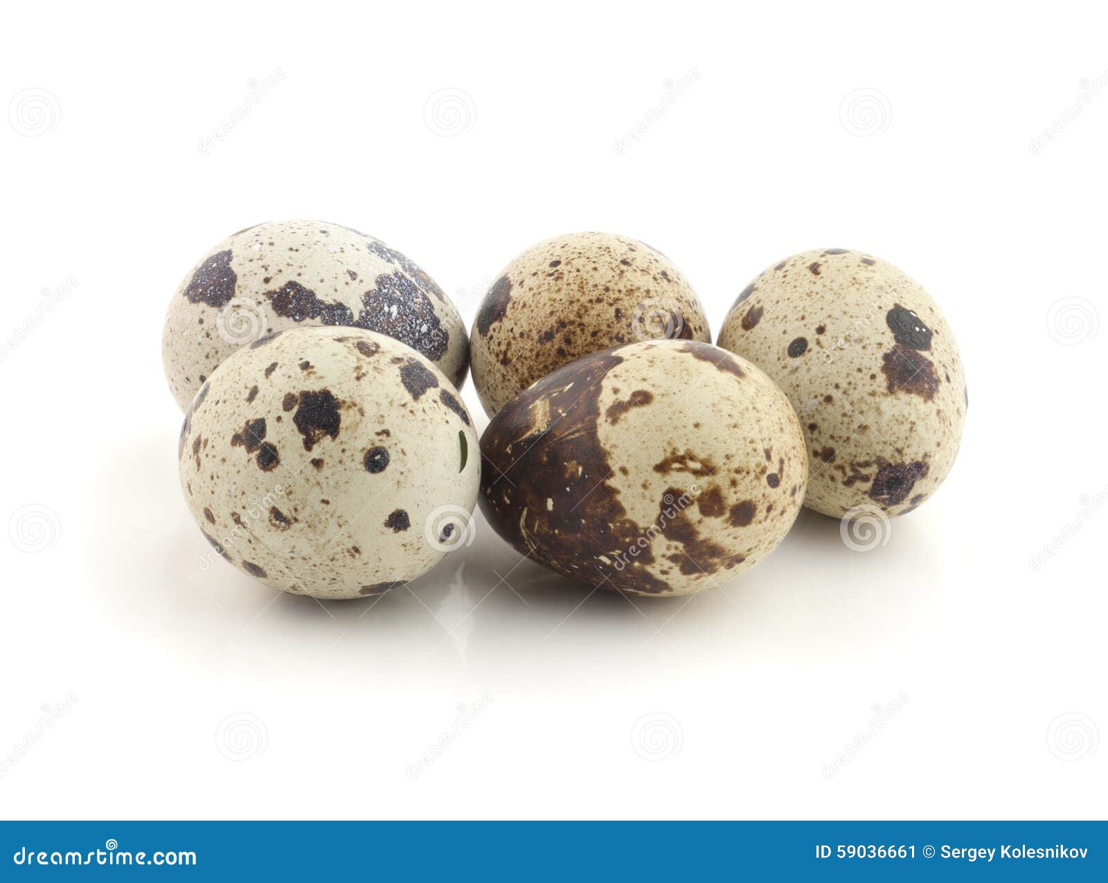 Quail eggs stock image. Image of poultry, healthy, eggshell - 59036661