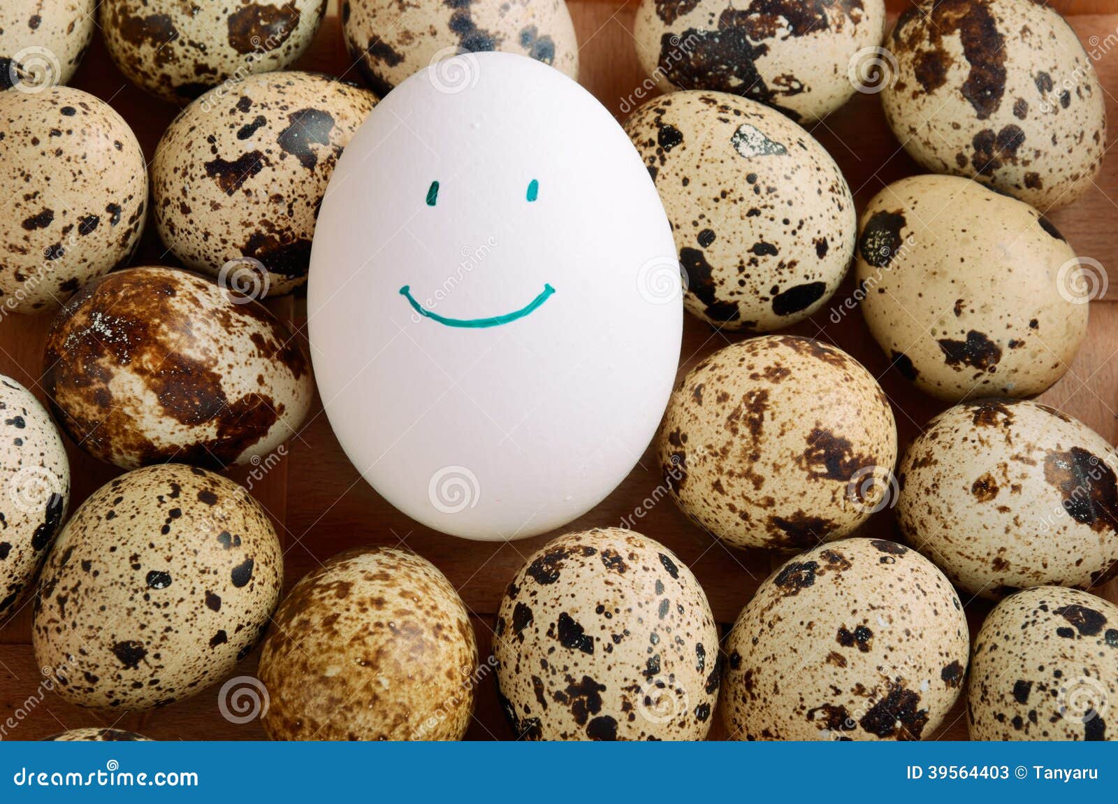 Quail Eggs and One White Smile Egg in Tray Horizon Stock Image - Image ...