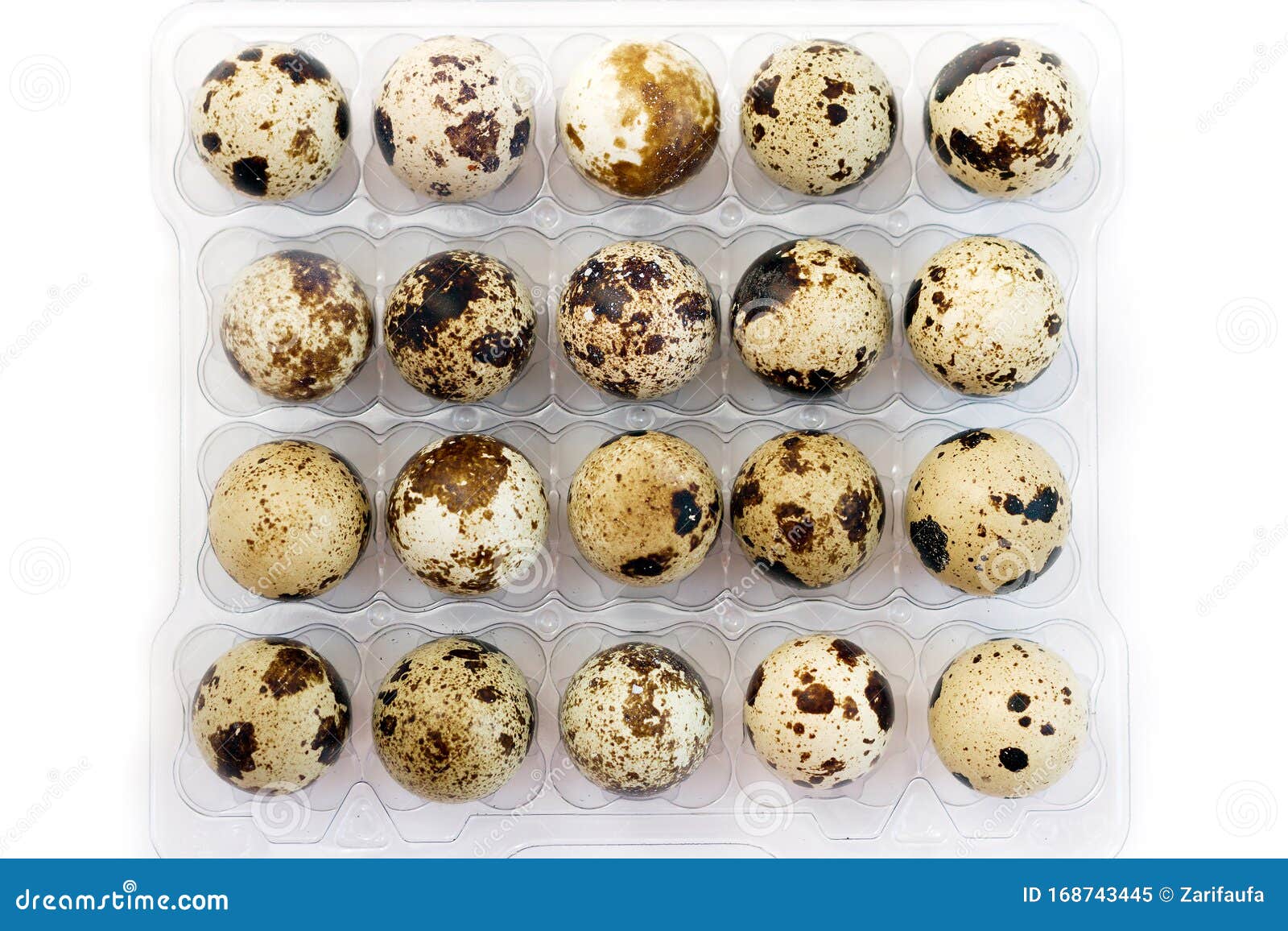 Quail Eggs in Open Transparent Packing Box on White Background, Top ...