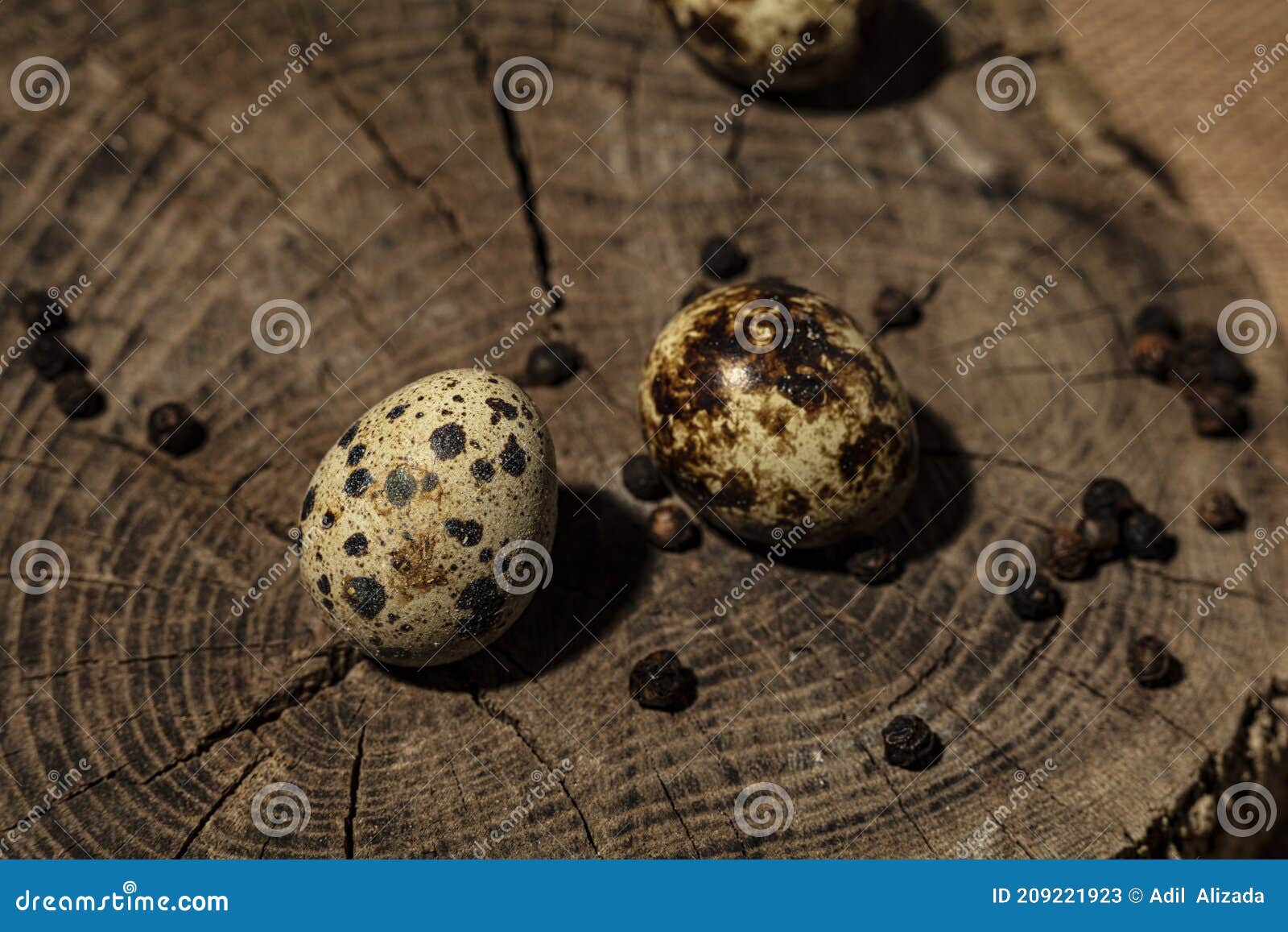 Quail Eggs on a Roung Log. Close Up Stock Image - Image of small, quail ...
