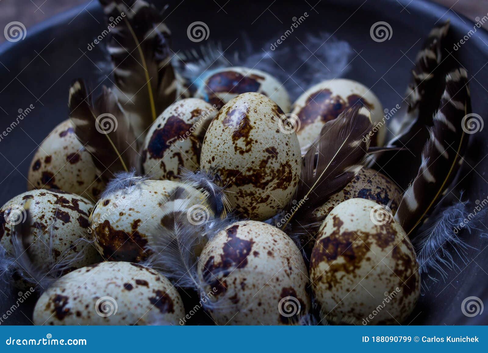 Quail Eggs in a Rustic Black Ceramic Dish - Macro Stock Image - Image ...