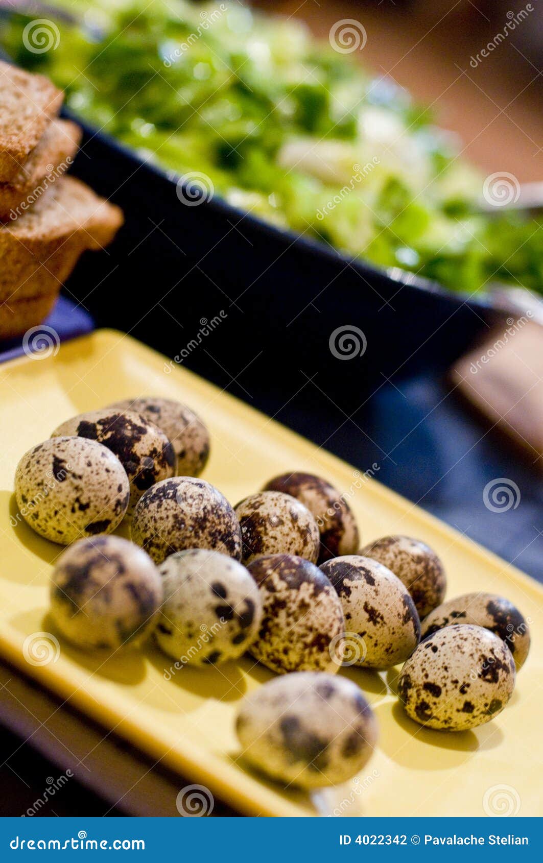 Quail eggs and salad stock photo. Image of ingredients - 4022342