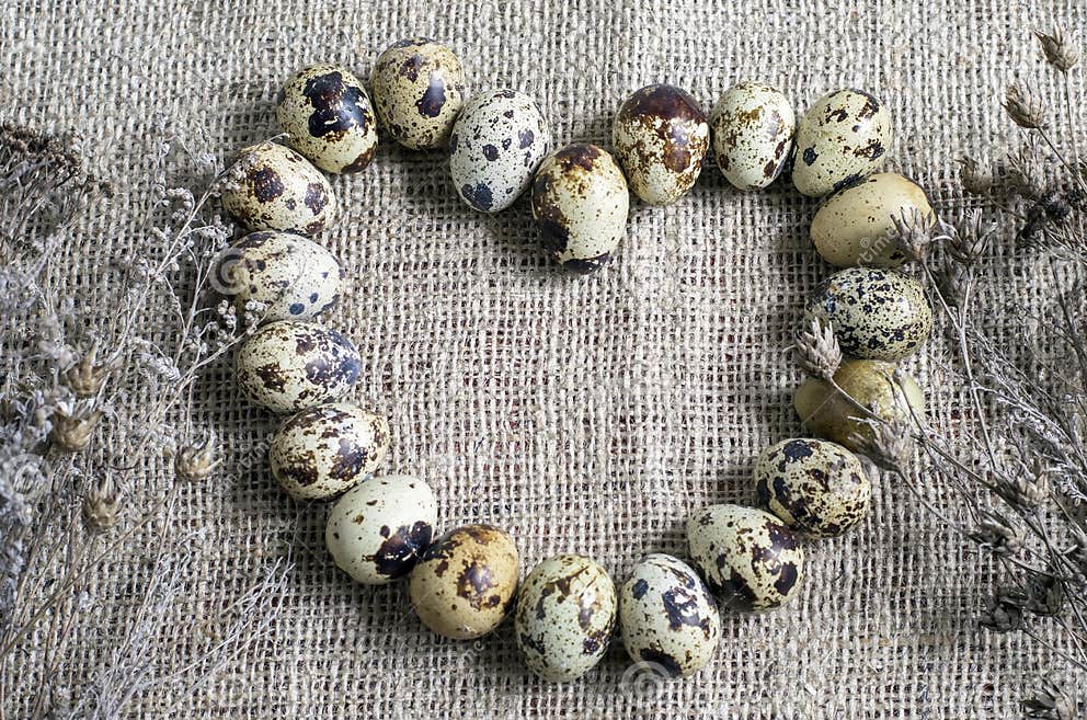 Quail Eggs in the Shape of a Heart Stock Photo - Image of food, cracked ...