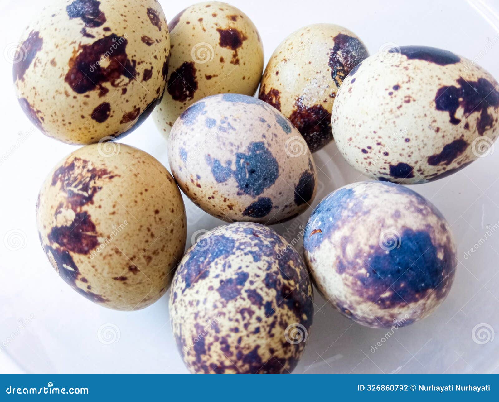 Quail Eggs Source of Protein Isolate on White Stock Photo - Image of ...