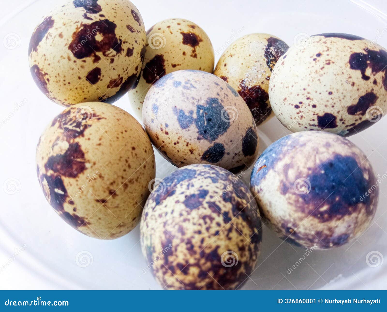 Quail Eggs Source of Protein Isolate on White Stock Image - Image of ...