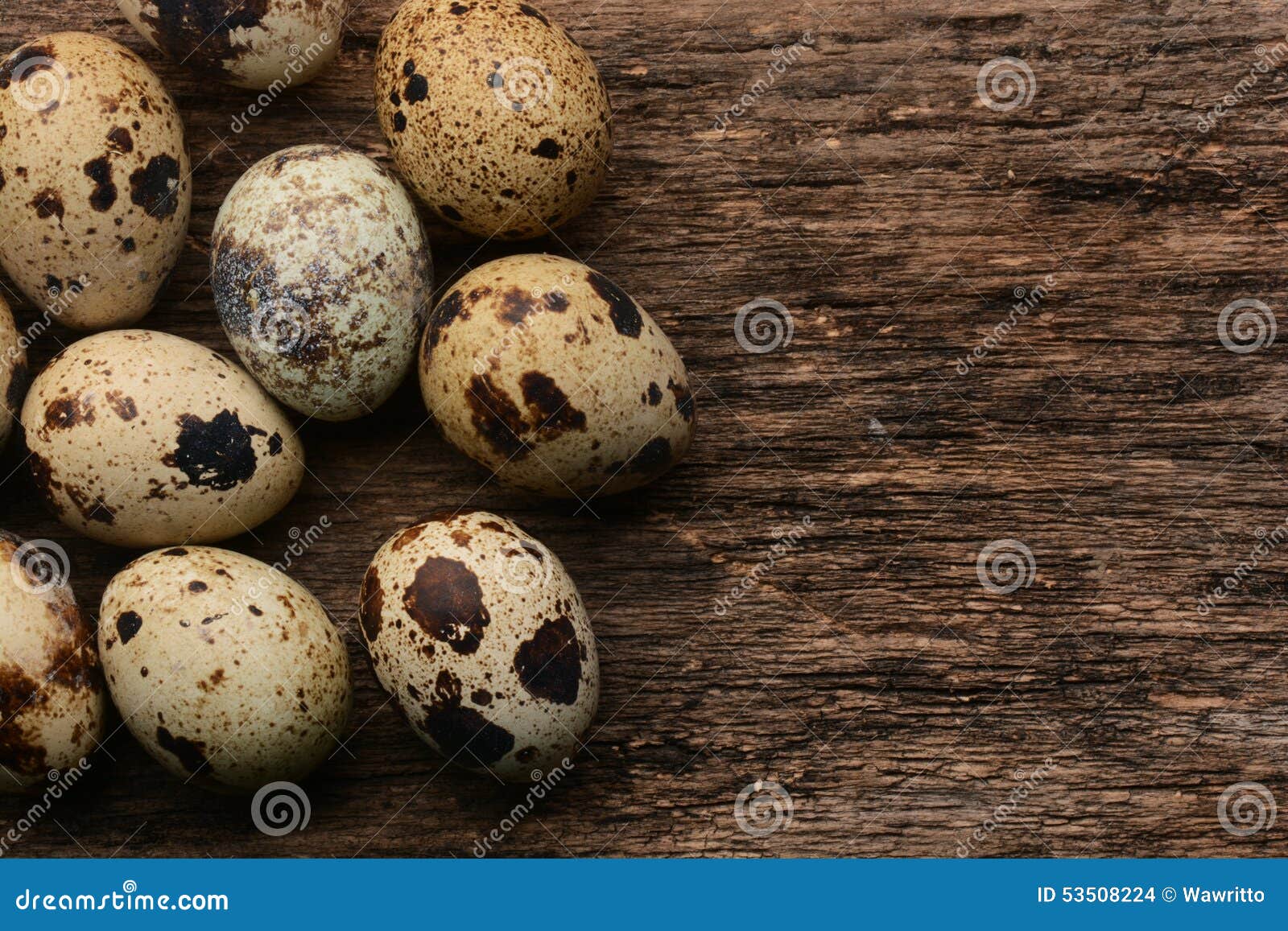 Quail eggs stock photo. Image of eggs, farm, diet, ingredient - 53508224