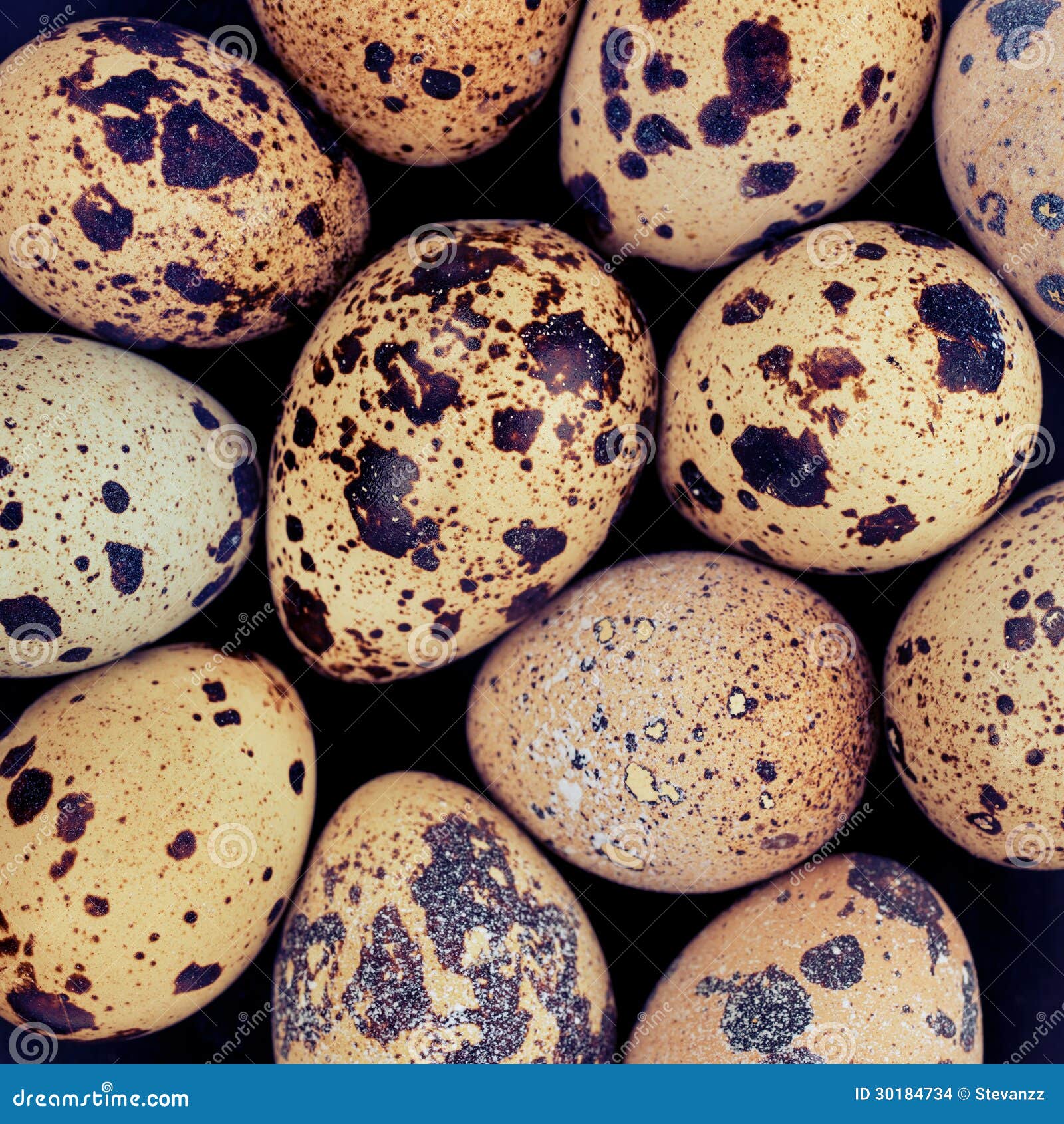 Quail Eggs Background Pattern Texture on Black Stock Photo - Image of ...