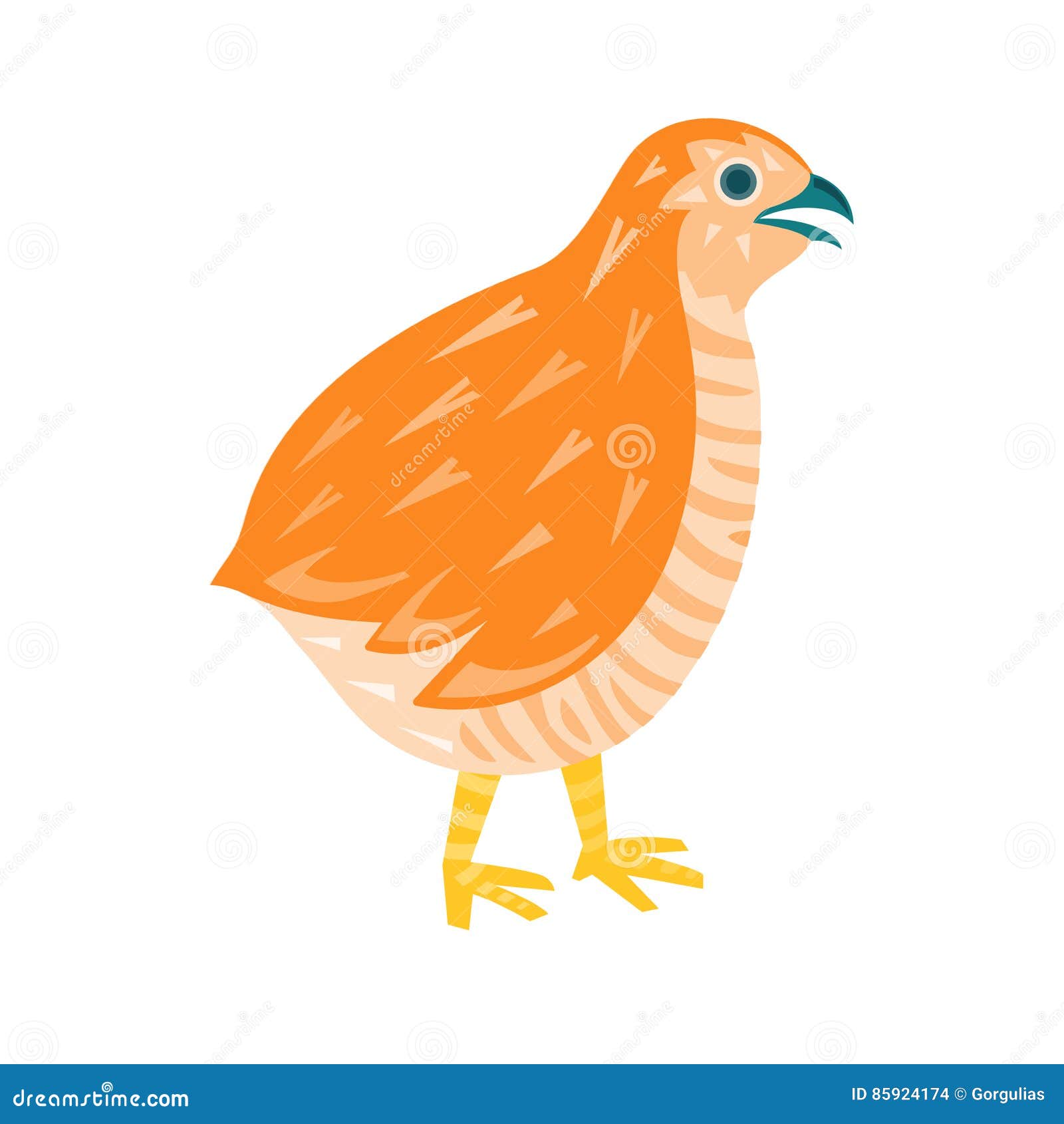 Quail vector illustration stock vector. Illustration of meat - 85924174