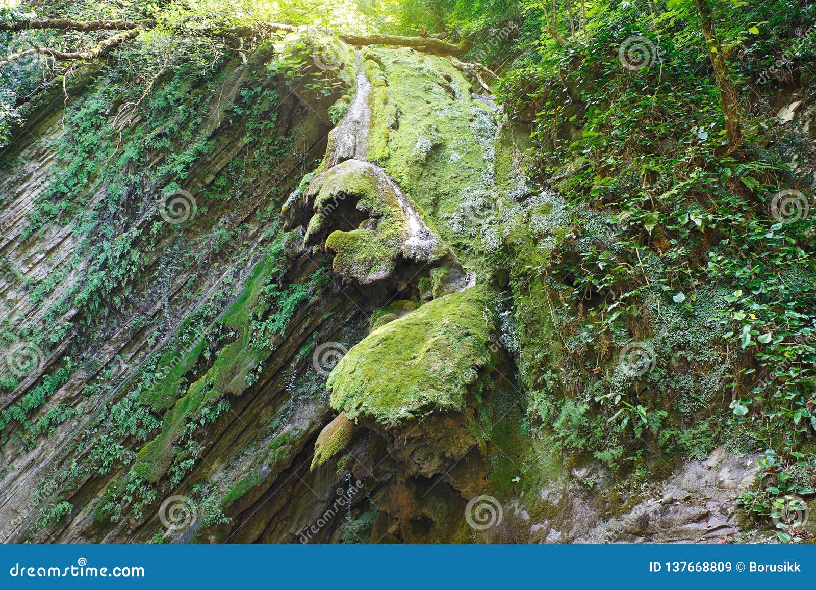 Quaint Charming Cliffs Overgrown with Ivy and Moss on the Slopes of ...