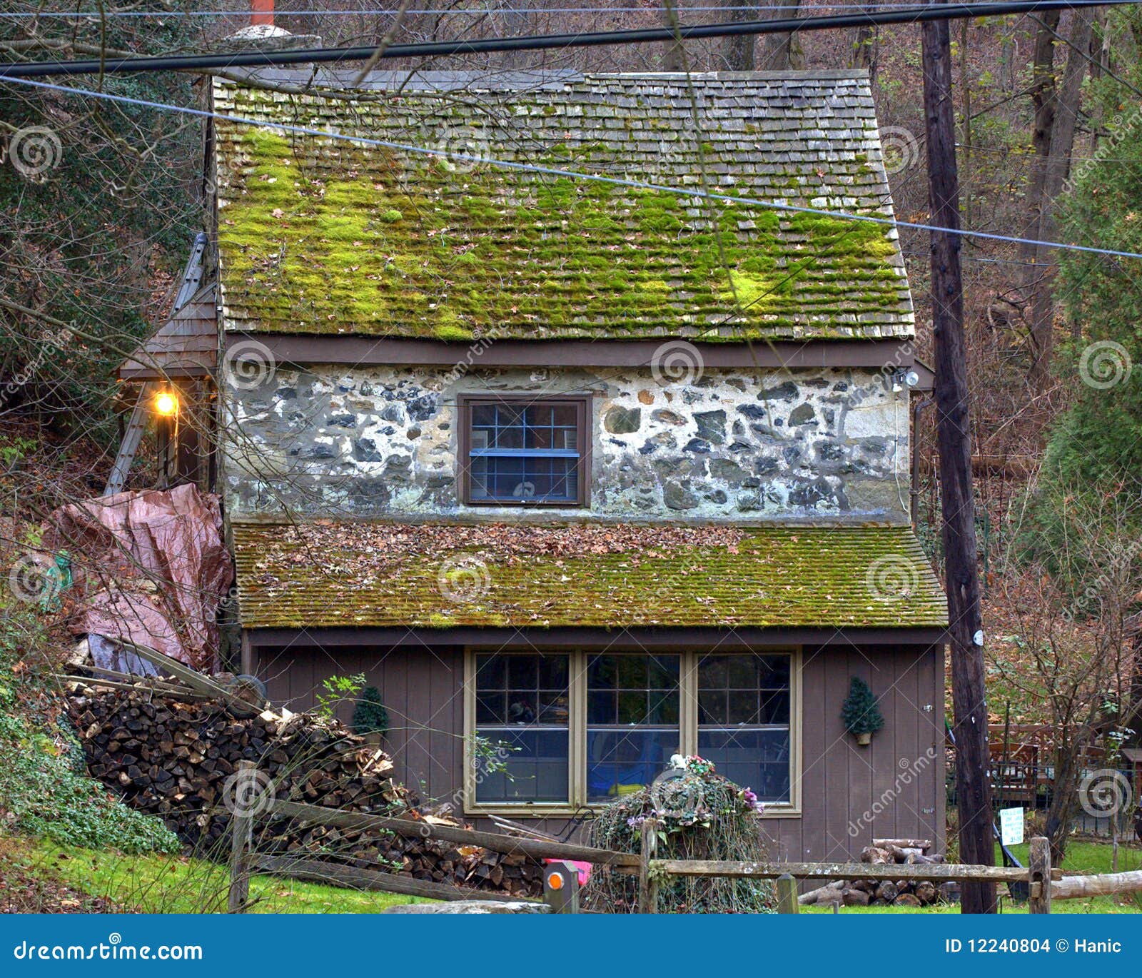 Quaint cottage stock photo. Image of wood, trees, rural - 12240804