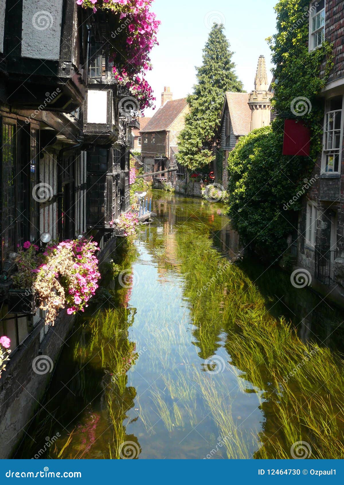 Quaint houses along stream stock photo. Image of town - 12464730