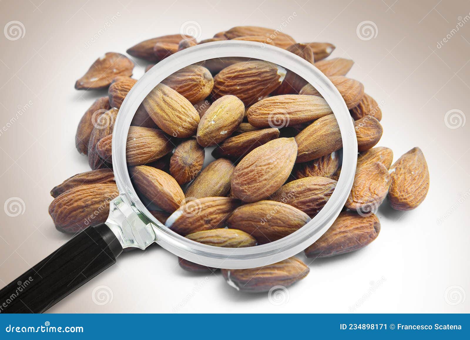 Quality Control about Almonds - HACCP Hazard Analyses and Critical ...