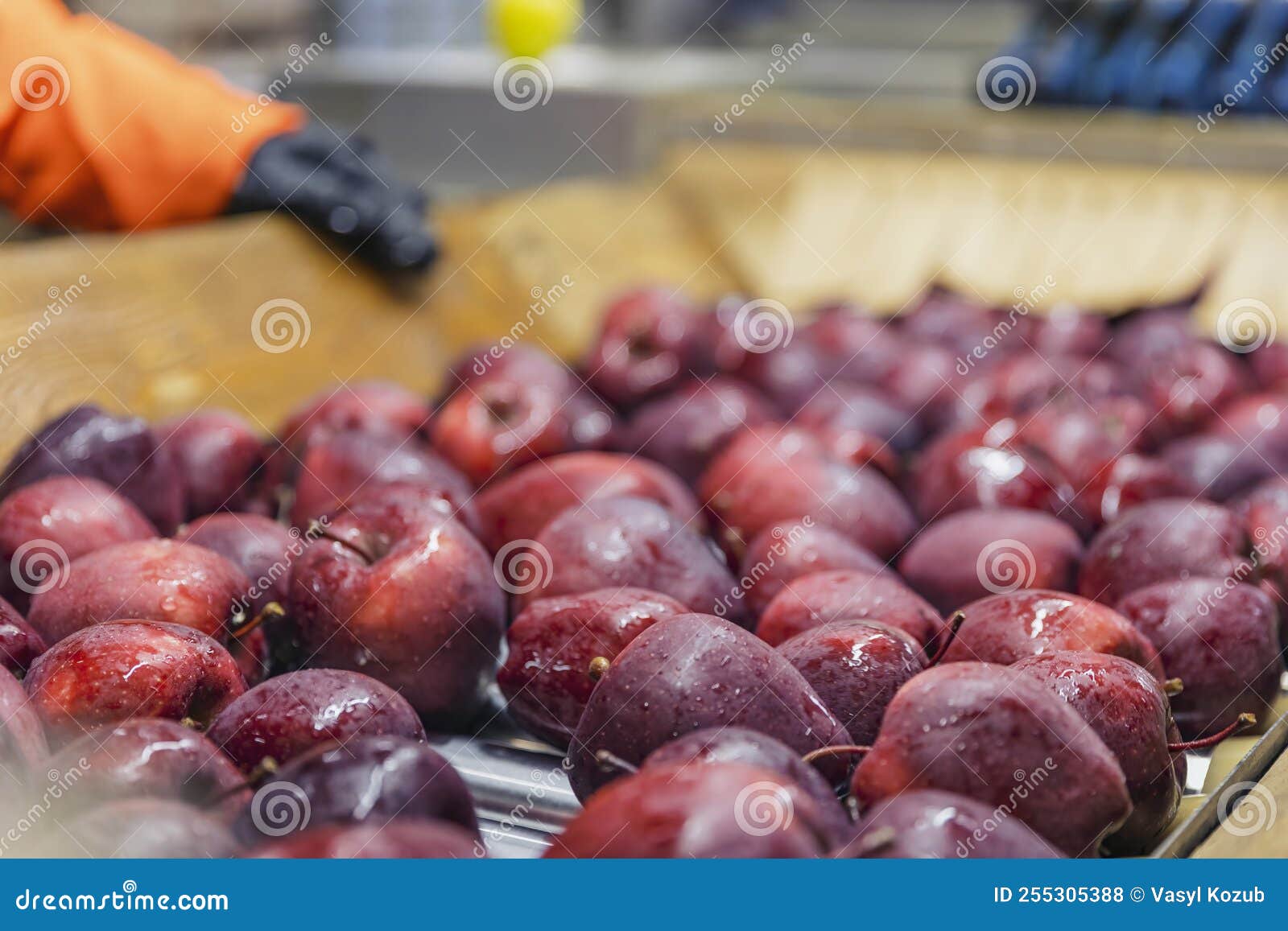 Quality Control of Apples at the Factory Stock Photo - Image of ...