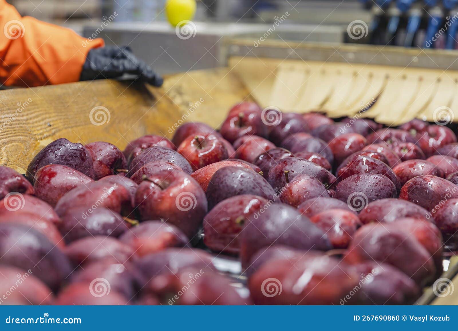 Quality Control of Apples at the Factory Stock Photo - Image of ...