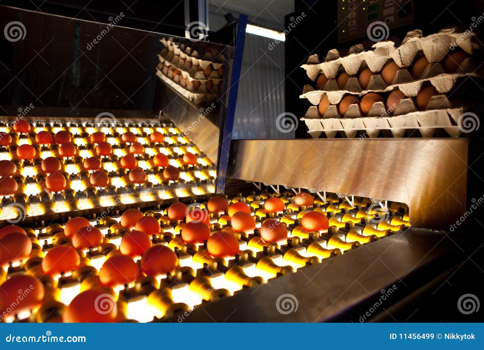 Quality Control - Eggs Production Stock Image - Image of amount ...