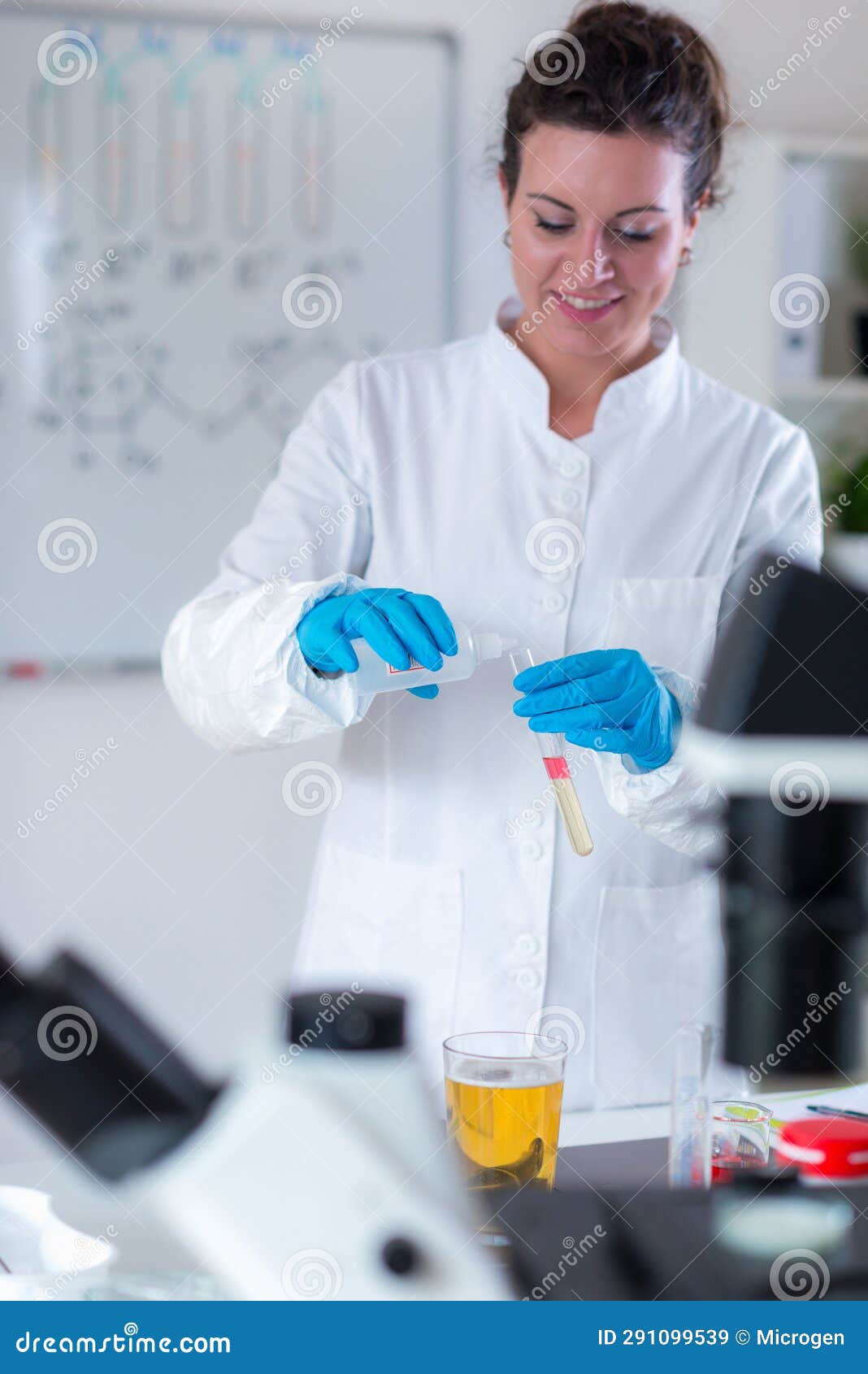Quality Control Expert Carefully Examines Beer Samples in a Modern ...