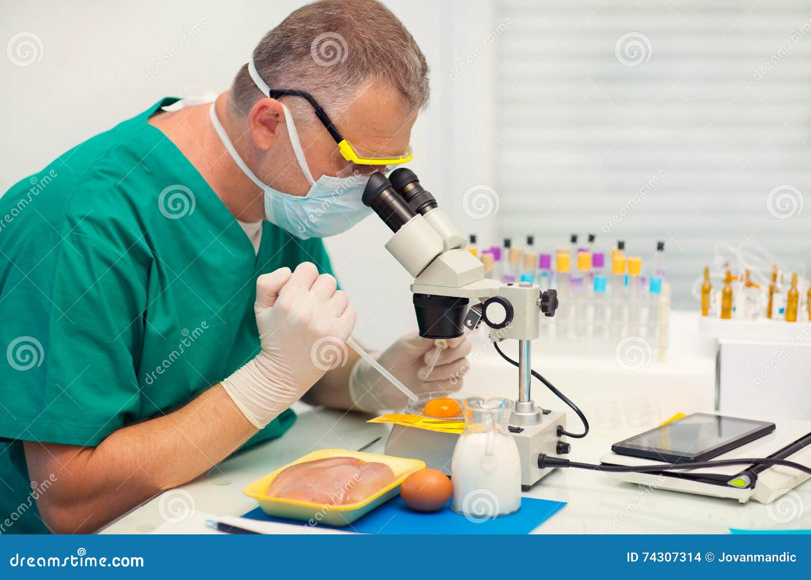 Quality Control Expert Inspecting at Chicken Eggs Stock Photo - Image ...
