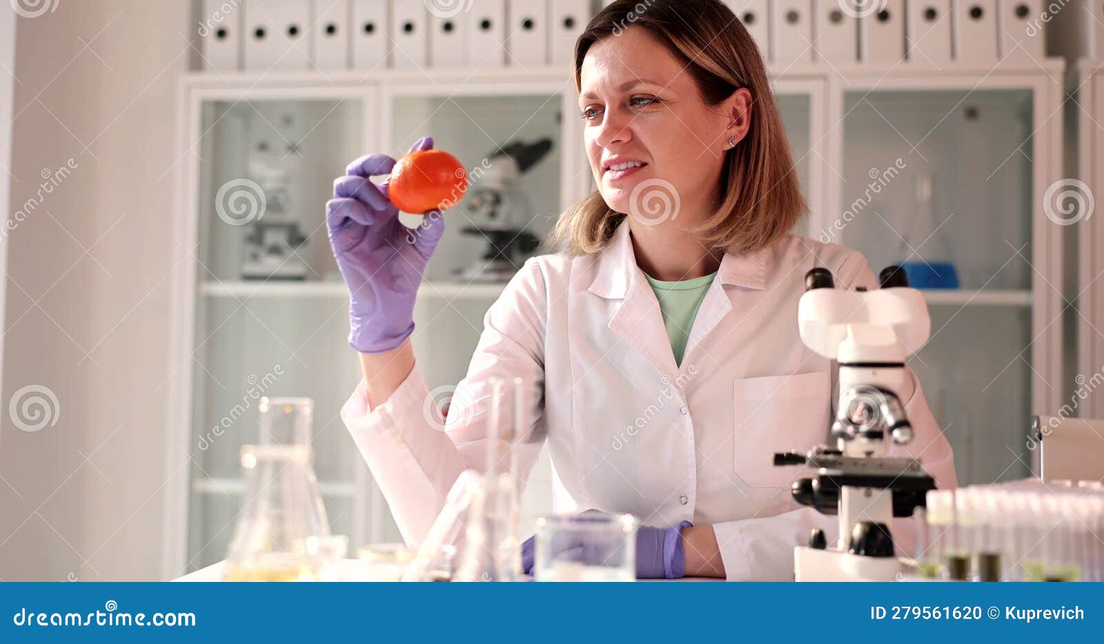 Quality Control of Orange Fruit Samples in Laboratory Analysis Stock ...