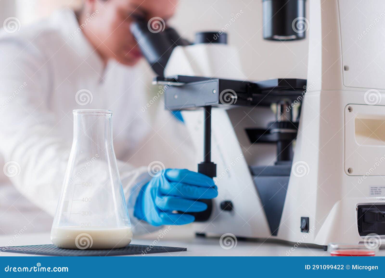 A Quality Control Specialist Inspects Milk Samples Under a Microscope ...