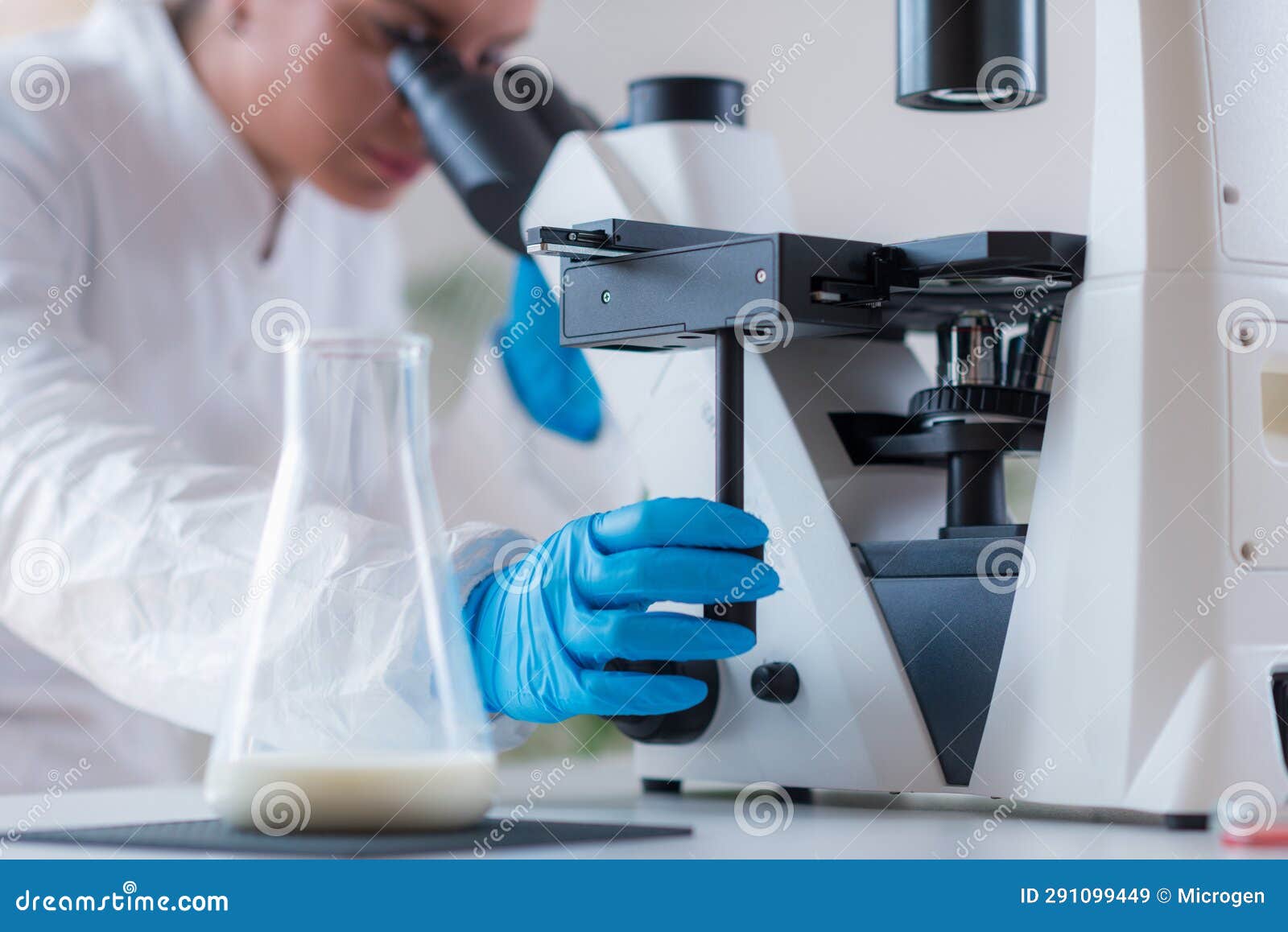A Quality Control Specialist Inspects Milk Samples Under a Microscope ...