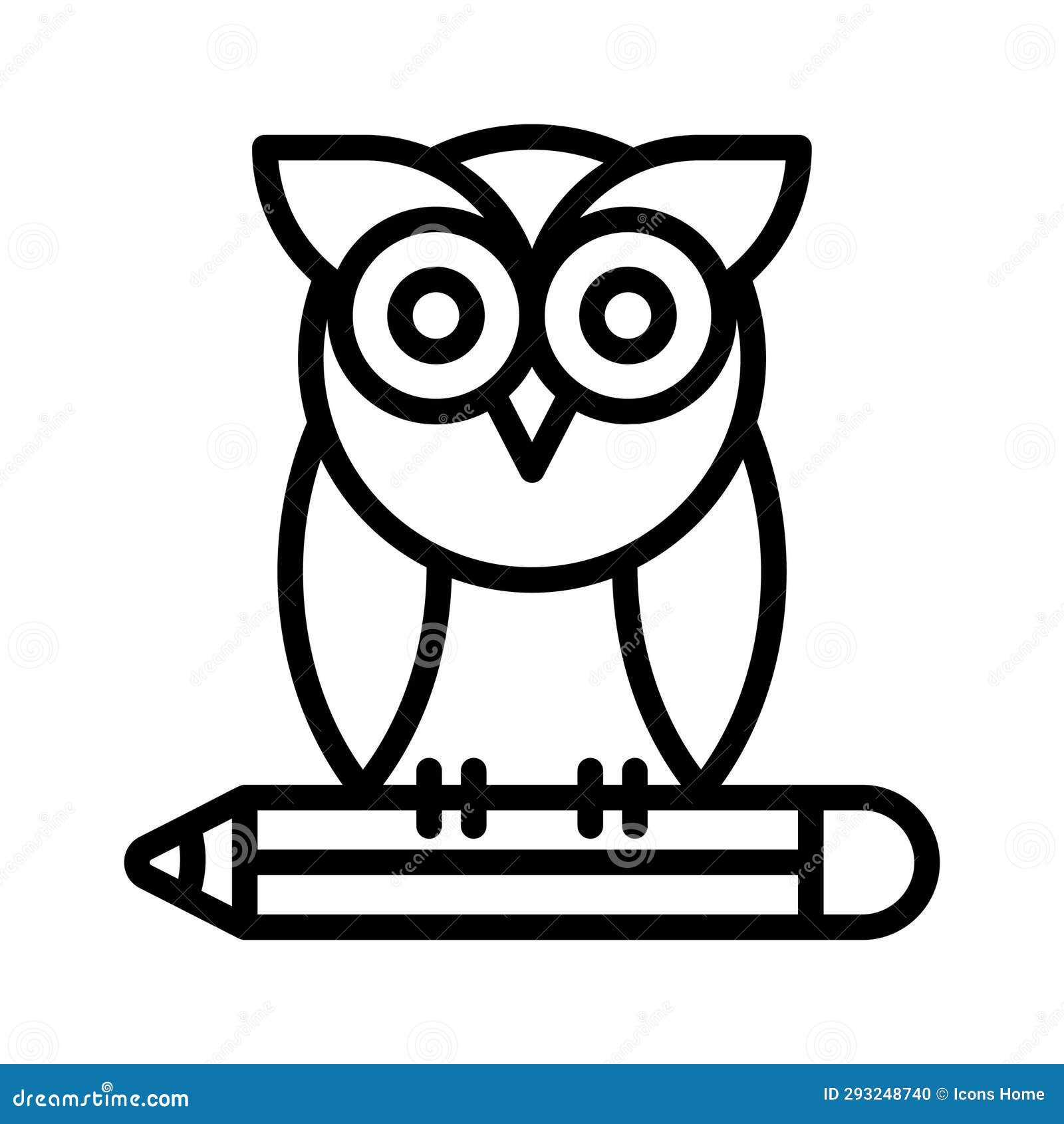 The Quality of Having Experience, Knowledge, and Good Judgment, the ...