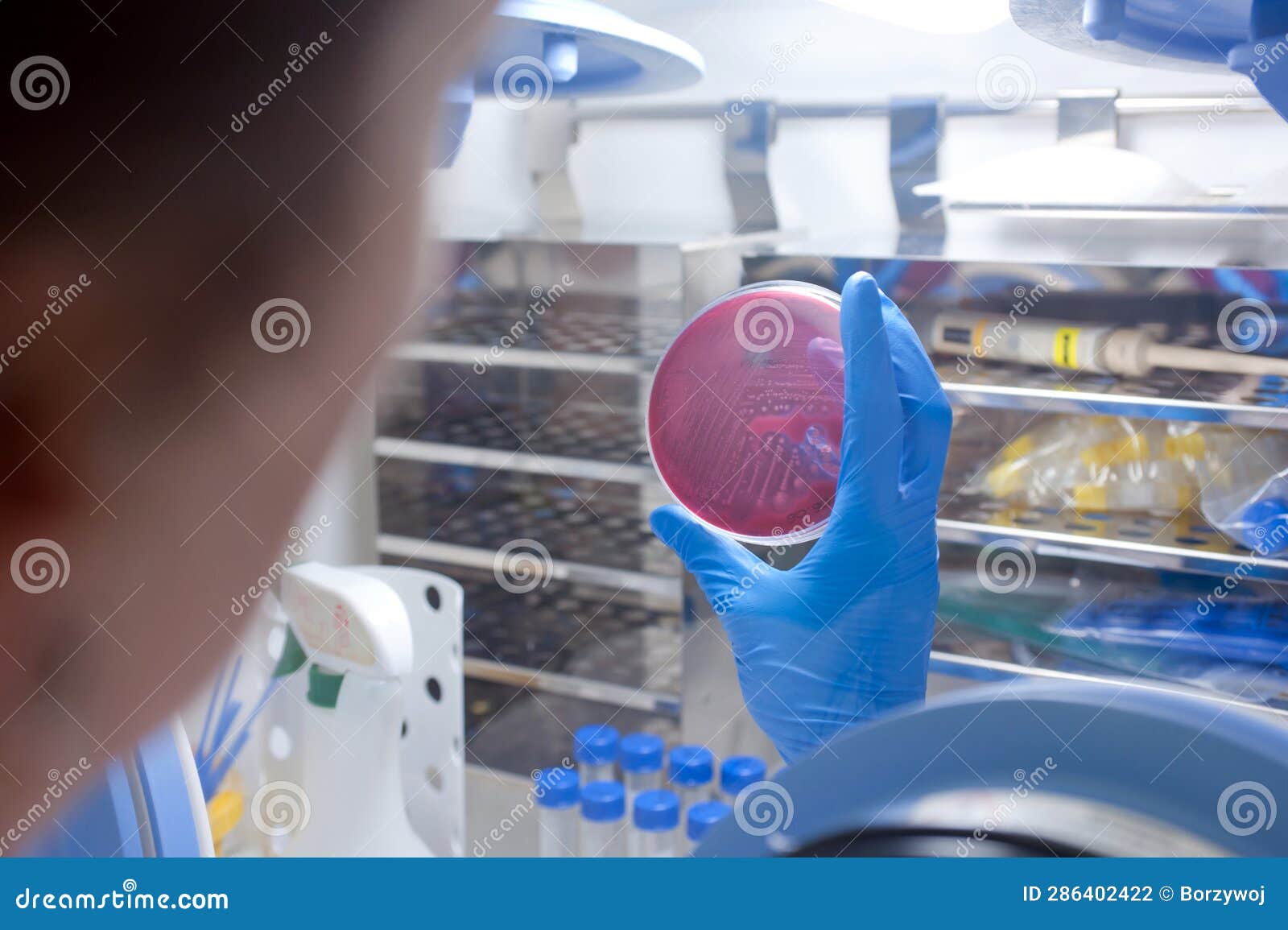 Quality laboratory stock photo. Image of technician - 286402422