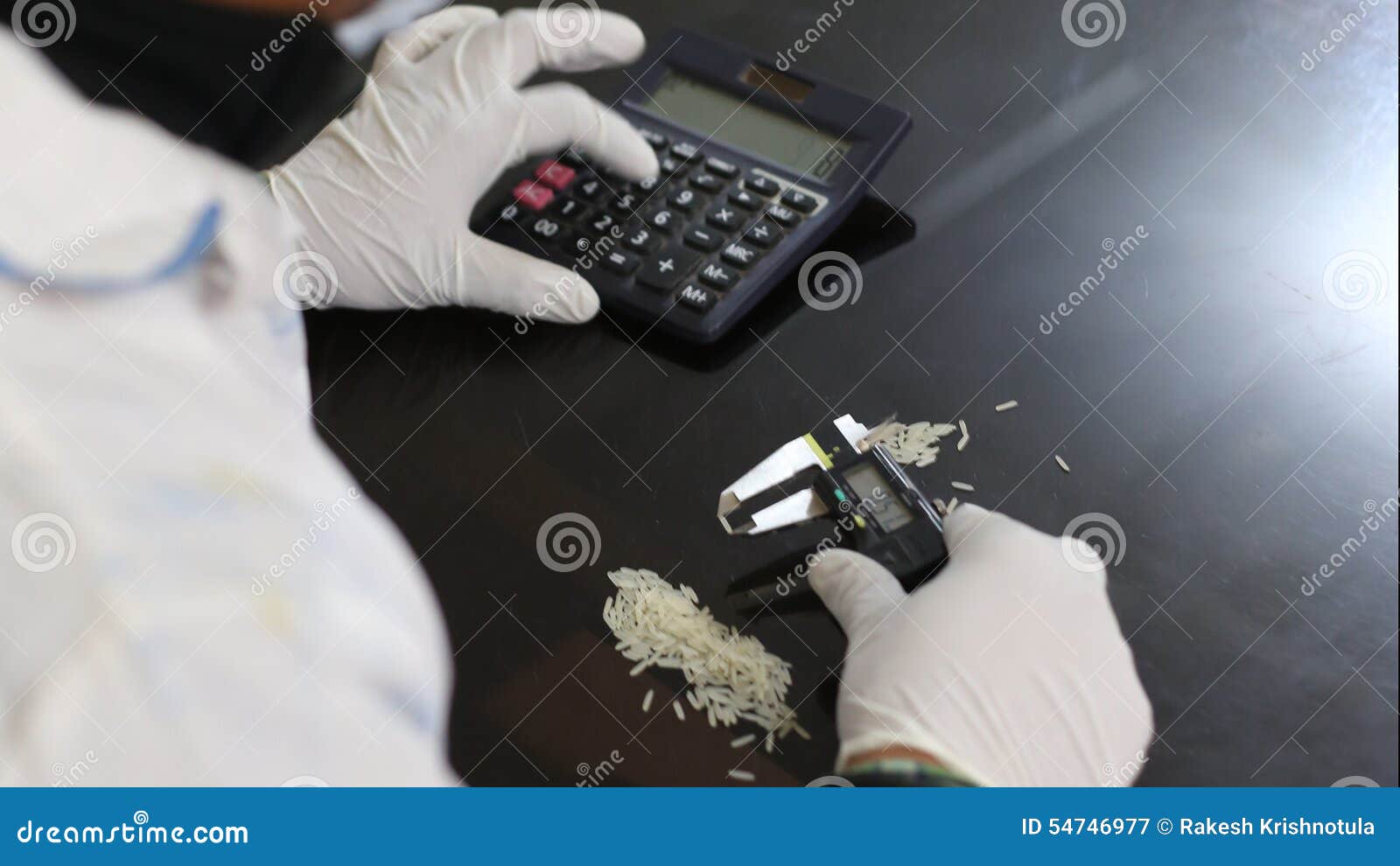 Quality Test at Rice Factory. Stock Image - Image of light, length ...