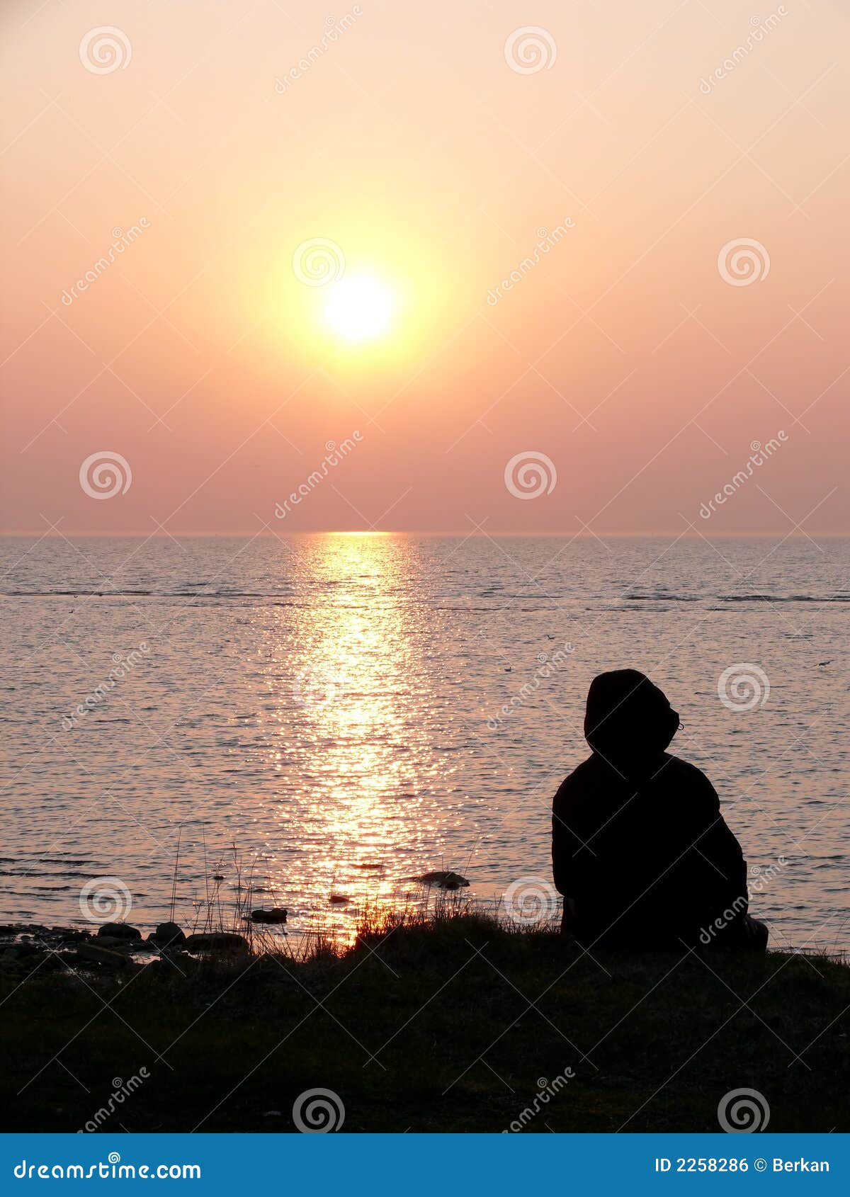 Quality Time stock photo. Image of peace, peaceful, moment - 2258286