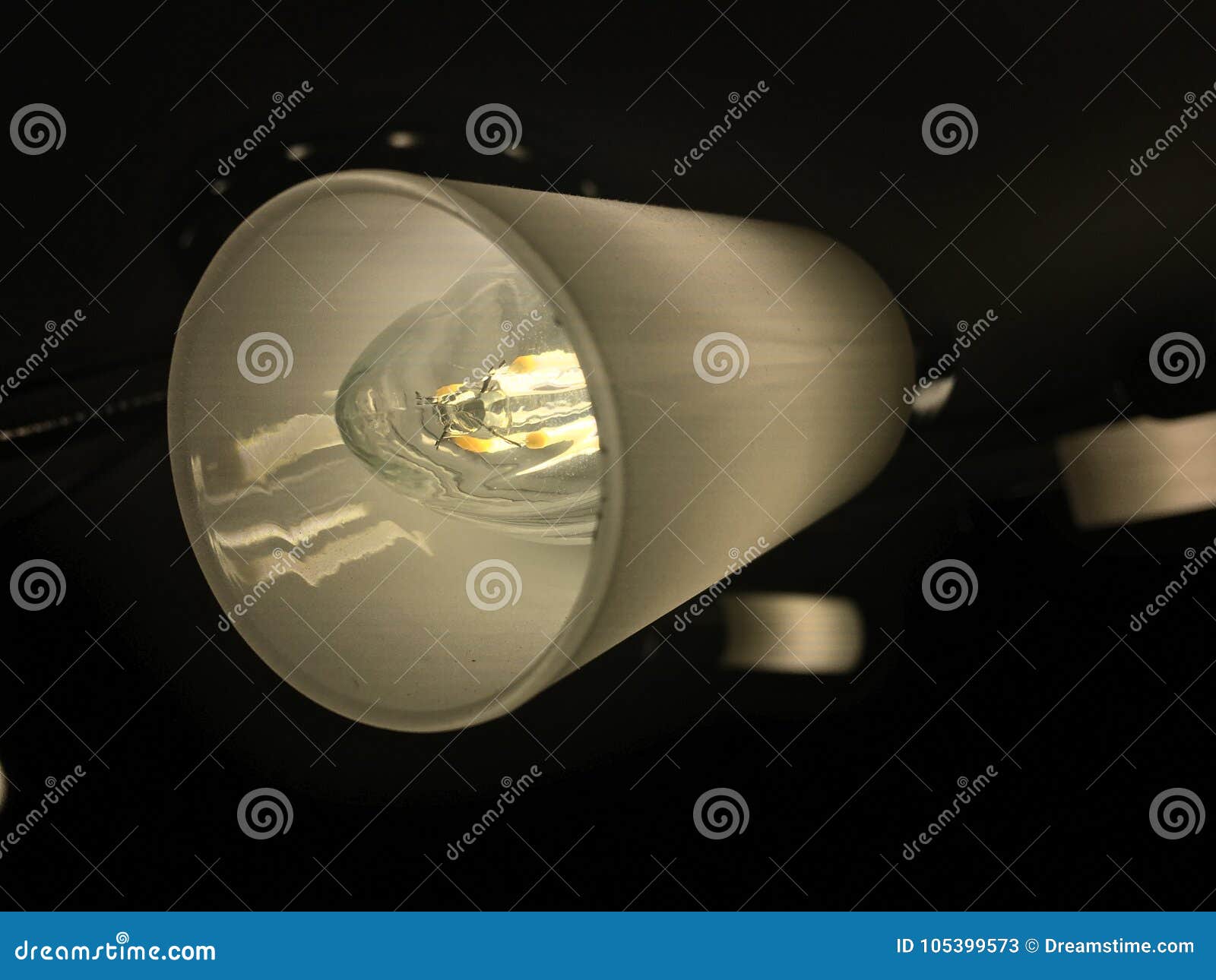Light bulb in the night stock image. Image of quality - 105399573