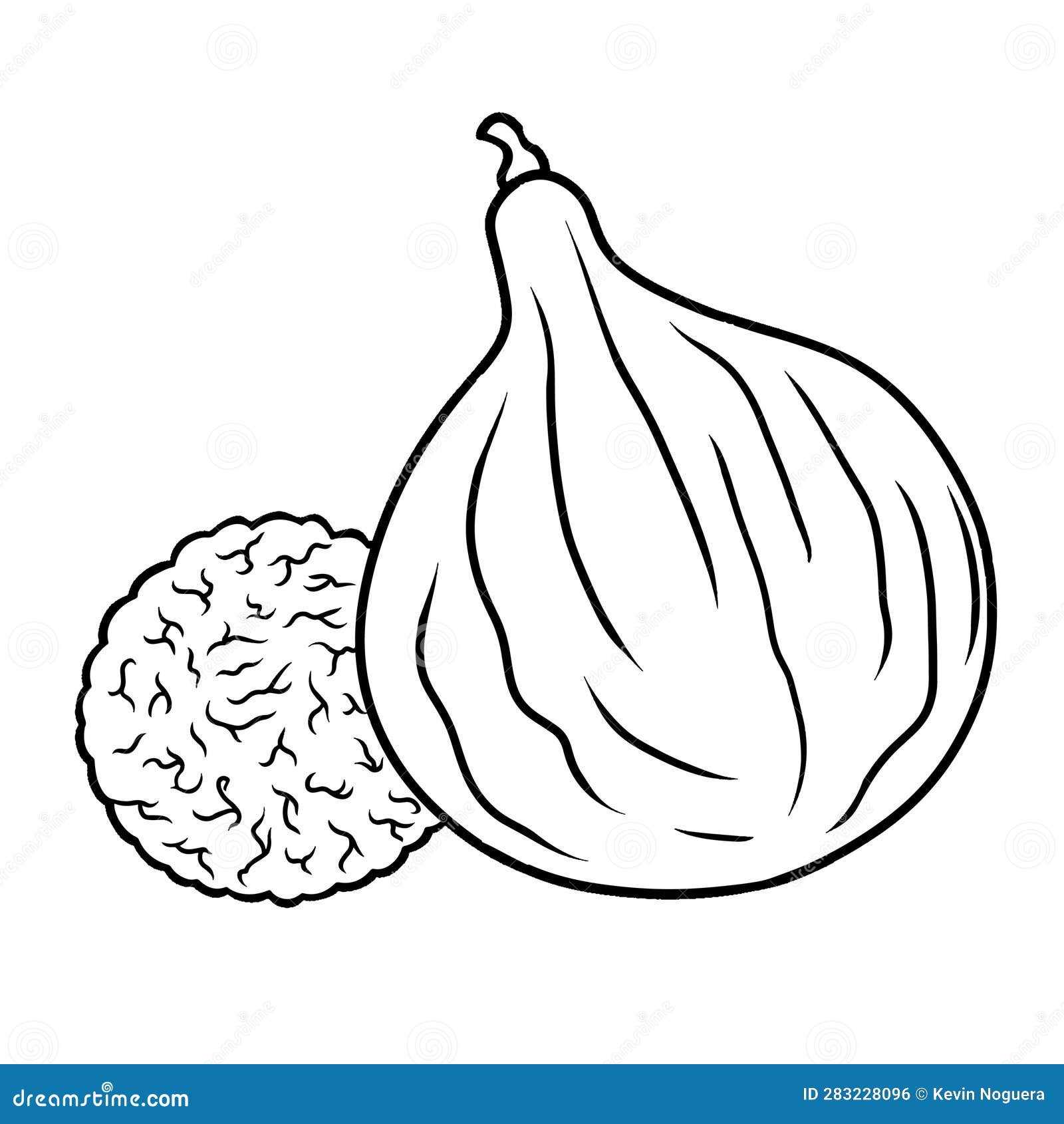 Quandong Fruit Cute Funny Cheerful Characters With Different Poses And ...