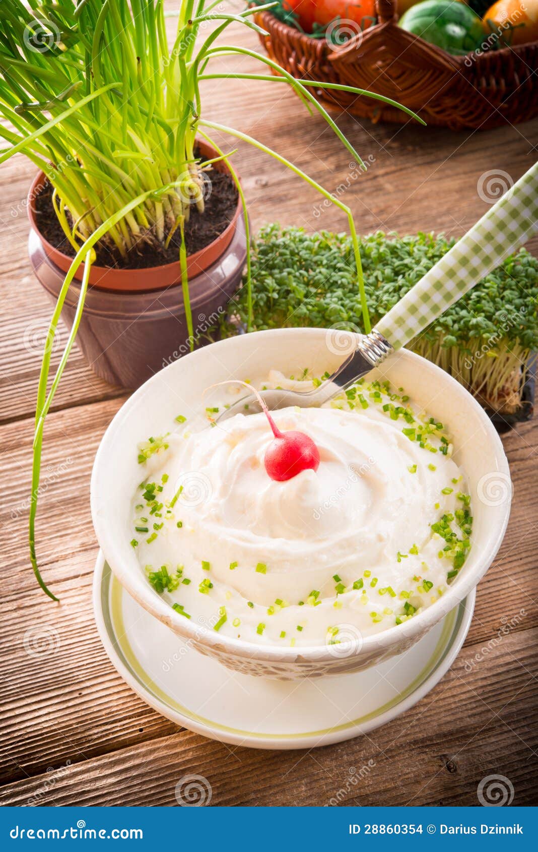 Quark cheese stock photo. Image of food, chips, cheese - 28860354