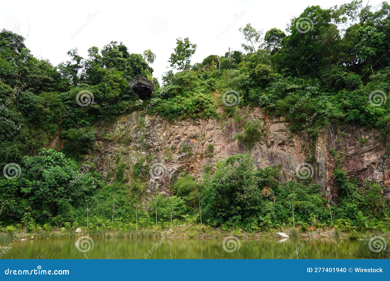 A Photograph of a Quarry Wall Reclaimed by Nature Stock Photo - Image ...