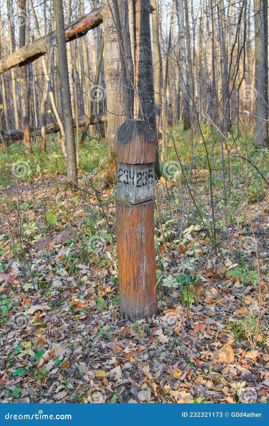 Quarter pillar stock image. Image of russia, poplar - 232321173