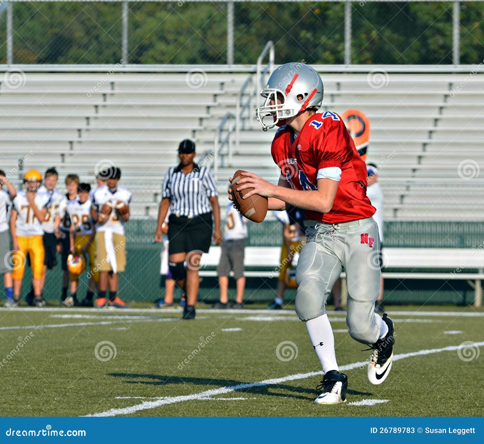 Quarterback Ready to Pass editorial stock photo. Image of child - 26789783
