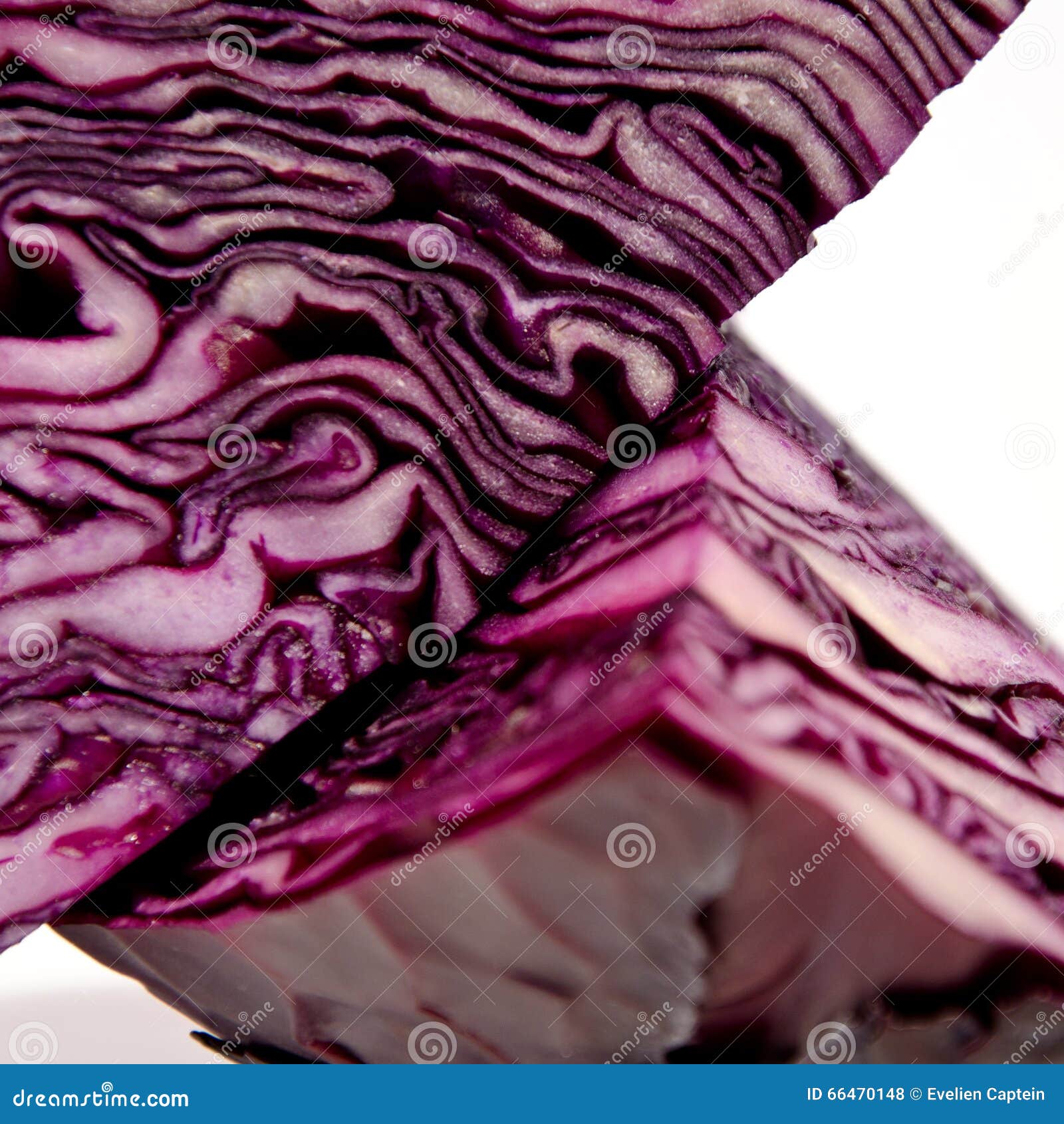 Quarters of a red cabbage stock photo. Image of food - 66470148