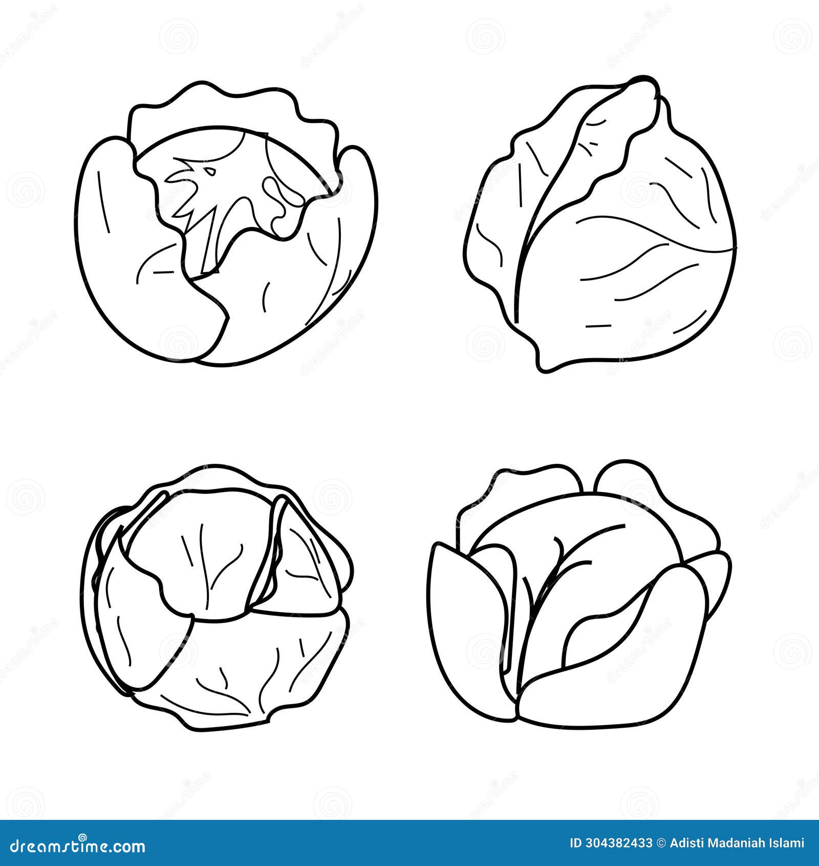 Quartet of Cabbage Vector Lineart - Monochrome Culinary Illustration ...