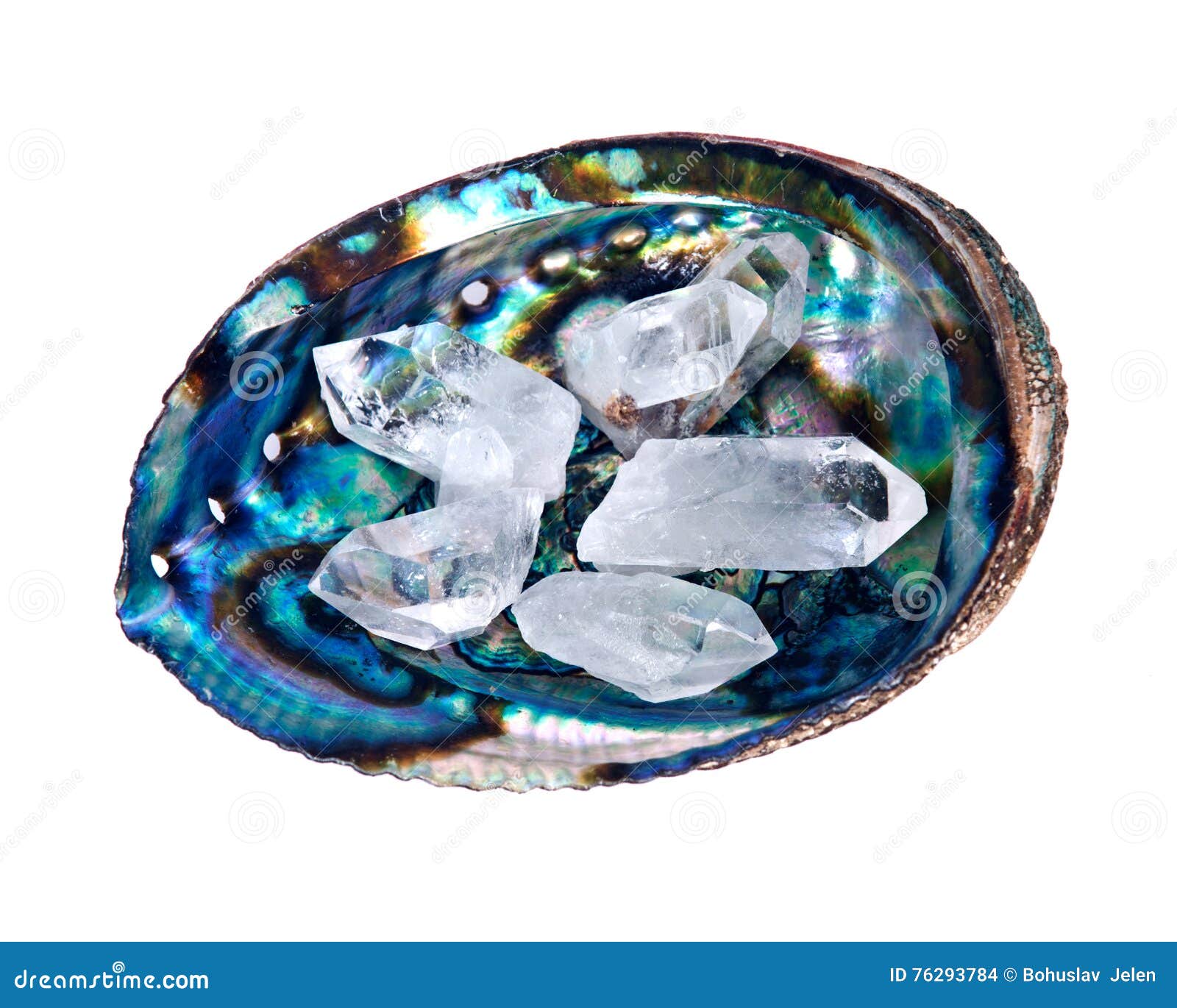 Quartz Crystal in Oyster Shell Stock Photo - Image of luxury, mountain ...