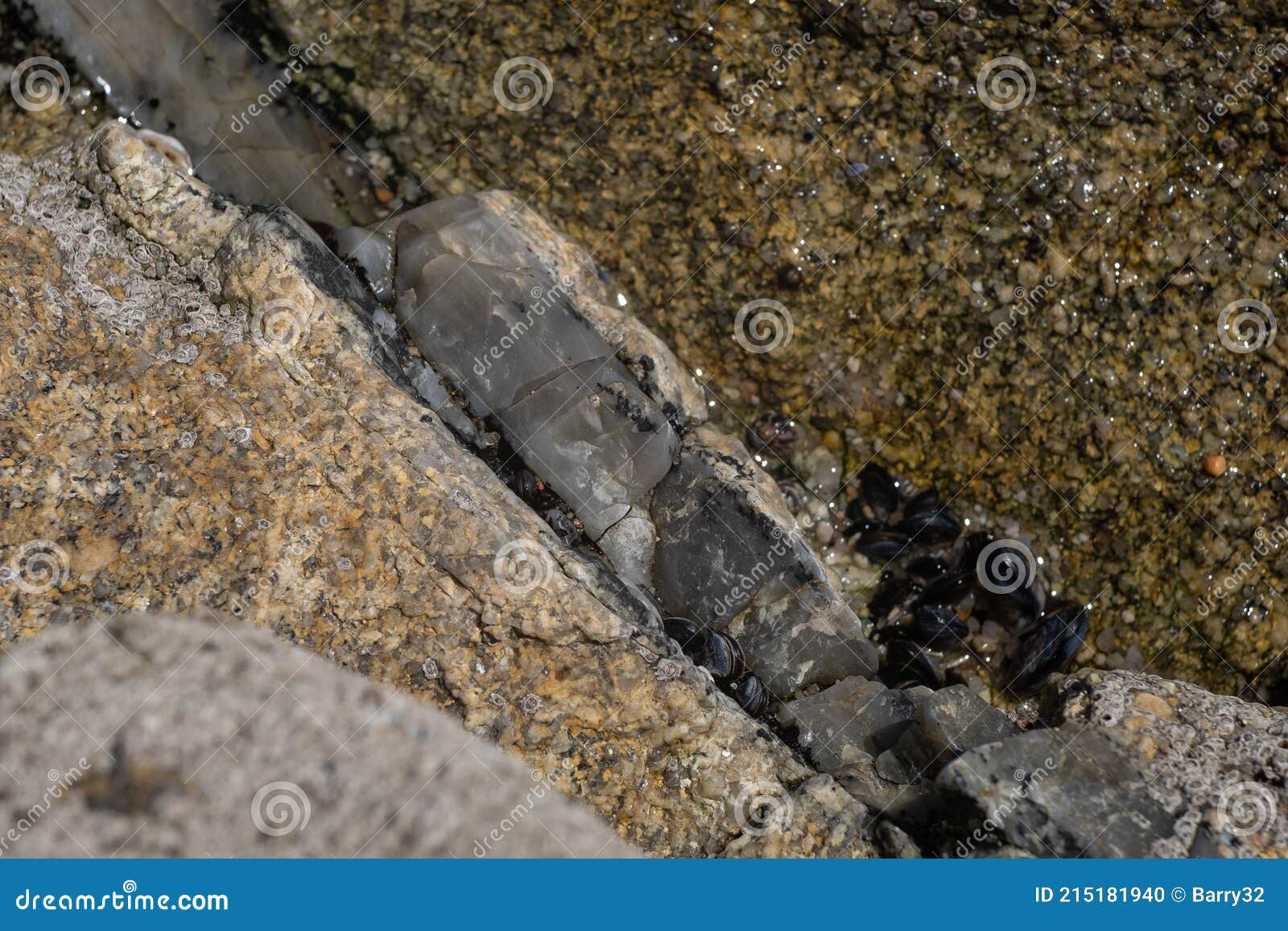 Quartz Stripe Running through Sandstone Rocks on the Beach. Close Up ...