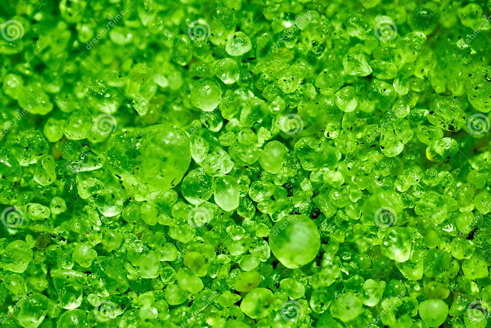 Quartz Under the Microscope Stock Image - Image of mineral, microphoto ...