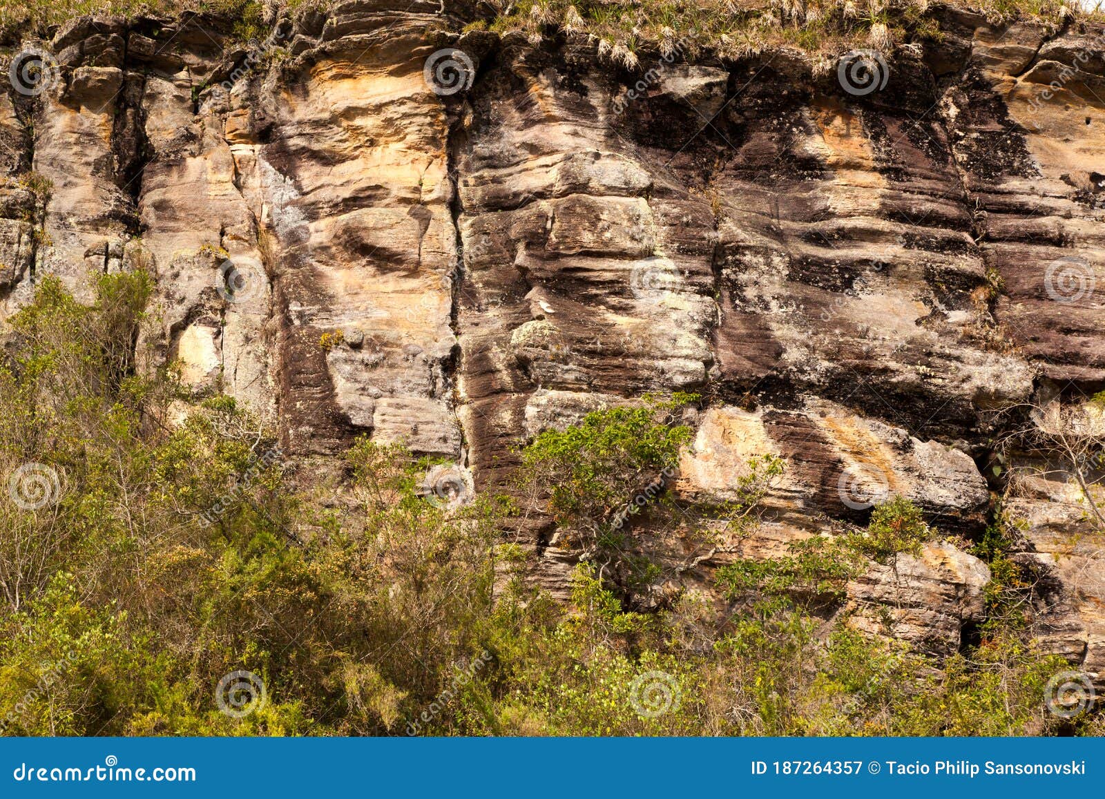 Quartzite cliff in Brazil stock image. Image of brazil - 187264357