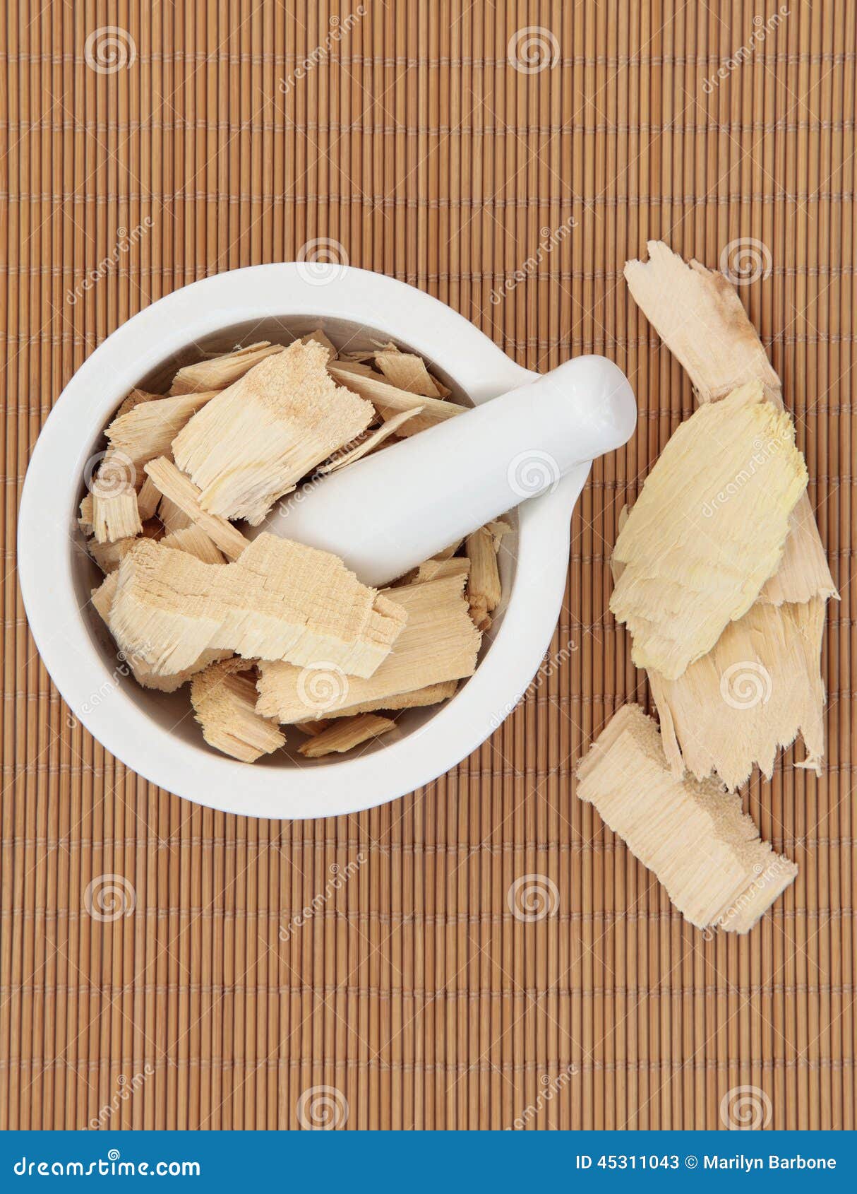 Quassia Bark Herb stock image. Image of medicine, jamaican - 45311043