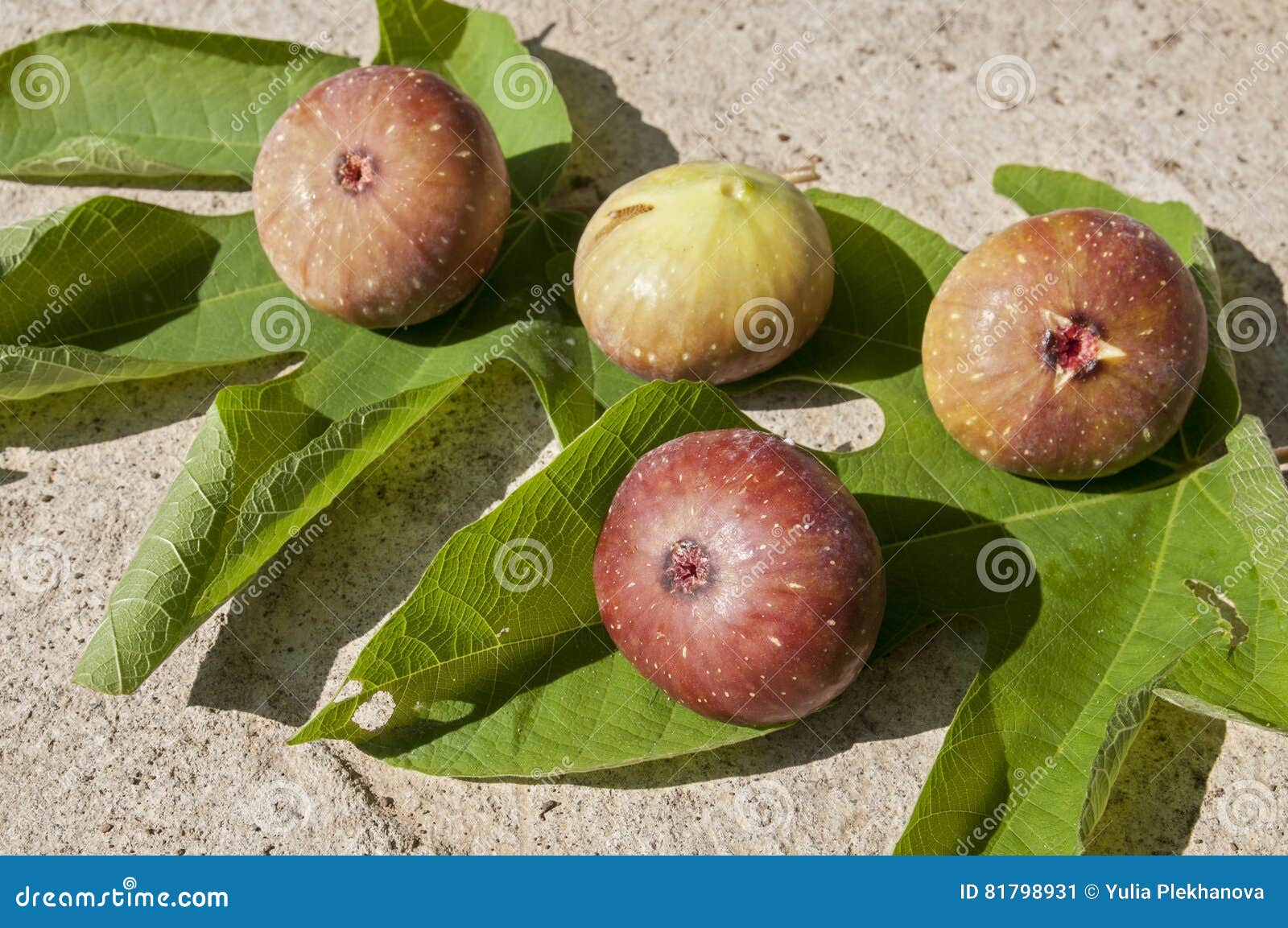 Quatre Figues Sur Des Feuilles Image stock - Image du figue, vivacité ...