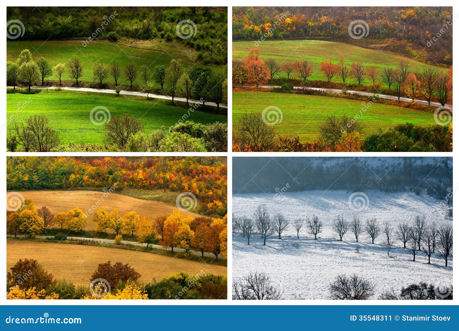 Quatre saisons image stock. Image du vert, froid, rural - 35548311