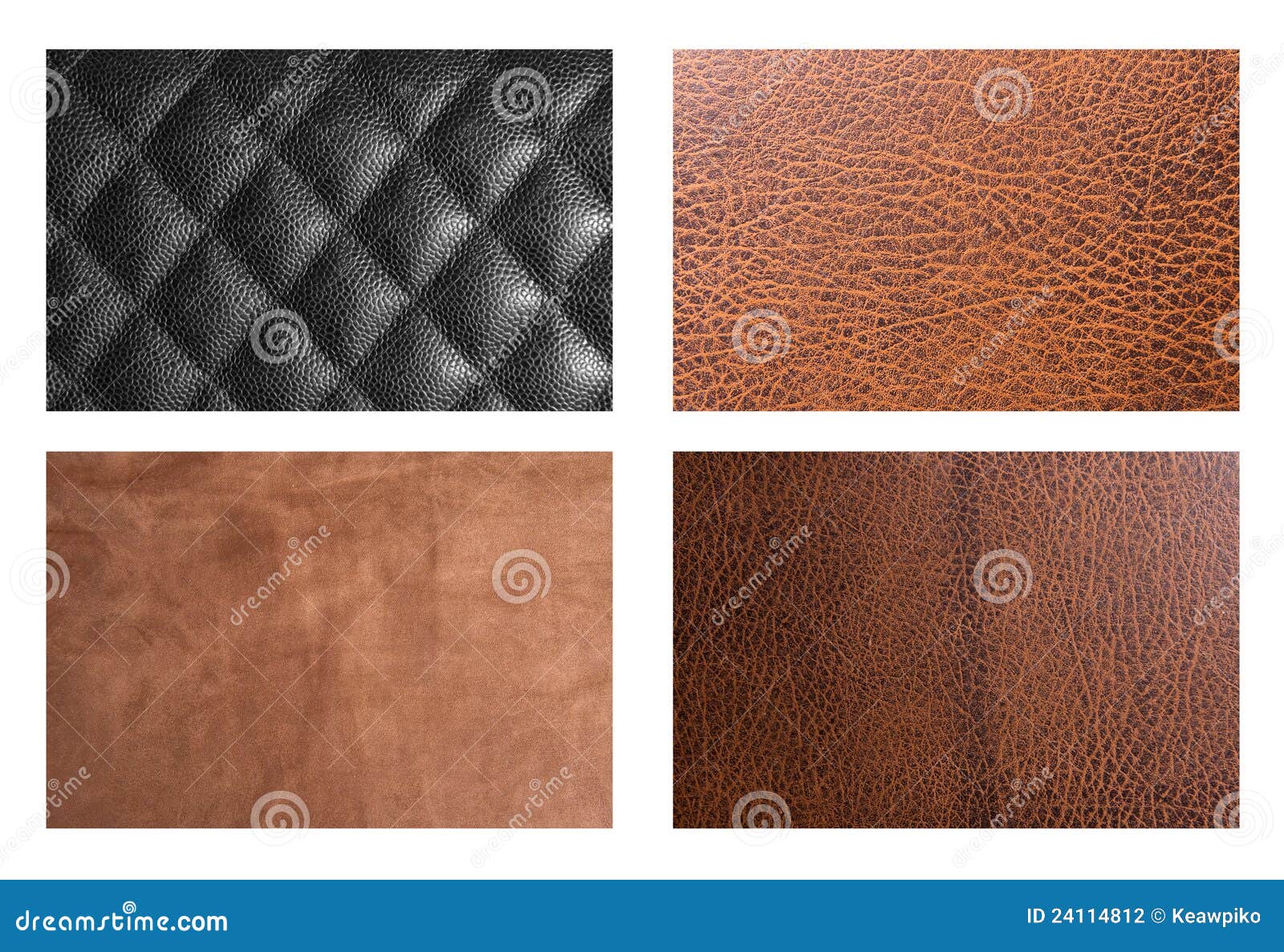 Quatro tipos de couro foto de stock. Imagem de tartaruga - 24114812