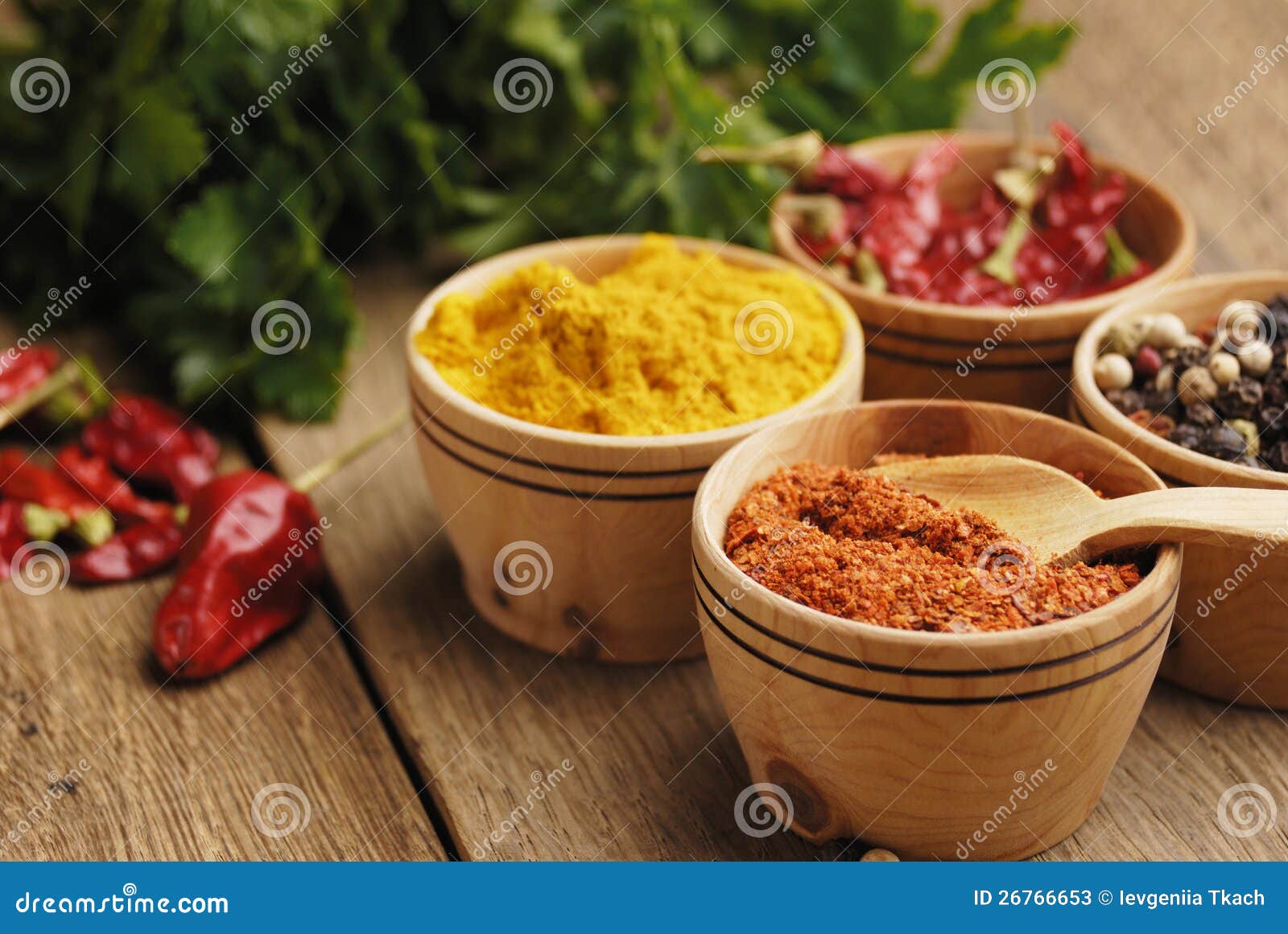 Quatro tipos dos temperos imagem de stock. Imagem de tempero - 26766653